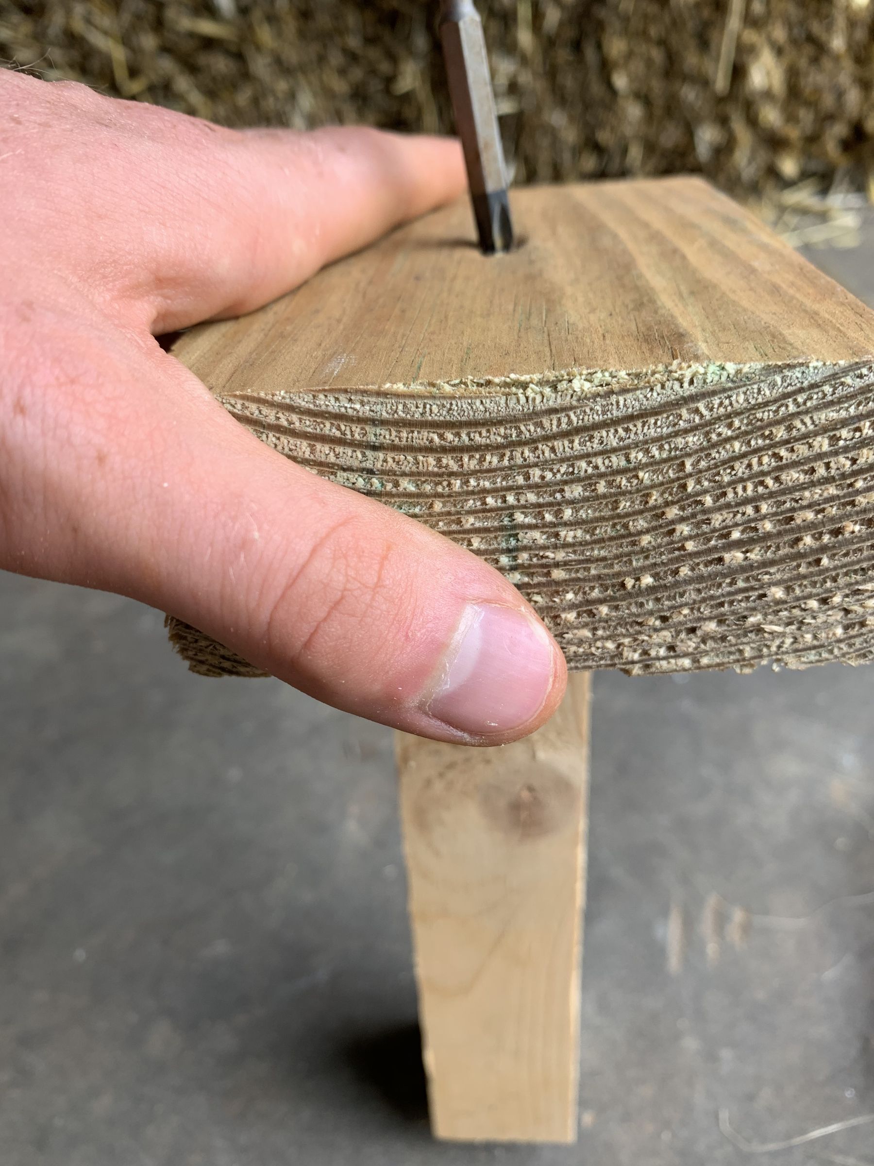 Chicken Playground : 20 Steps (with Pictures) - Instructables