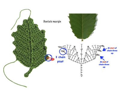 Leaf Crochet Botany- Variations on a Basic Pattern : 6 Steps (with ...