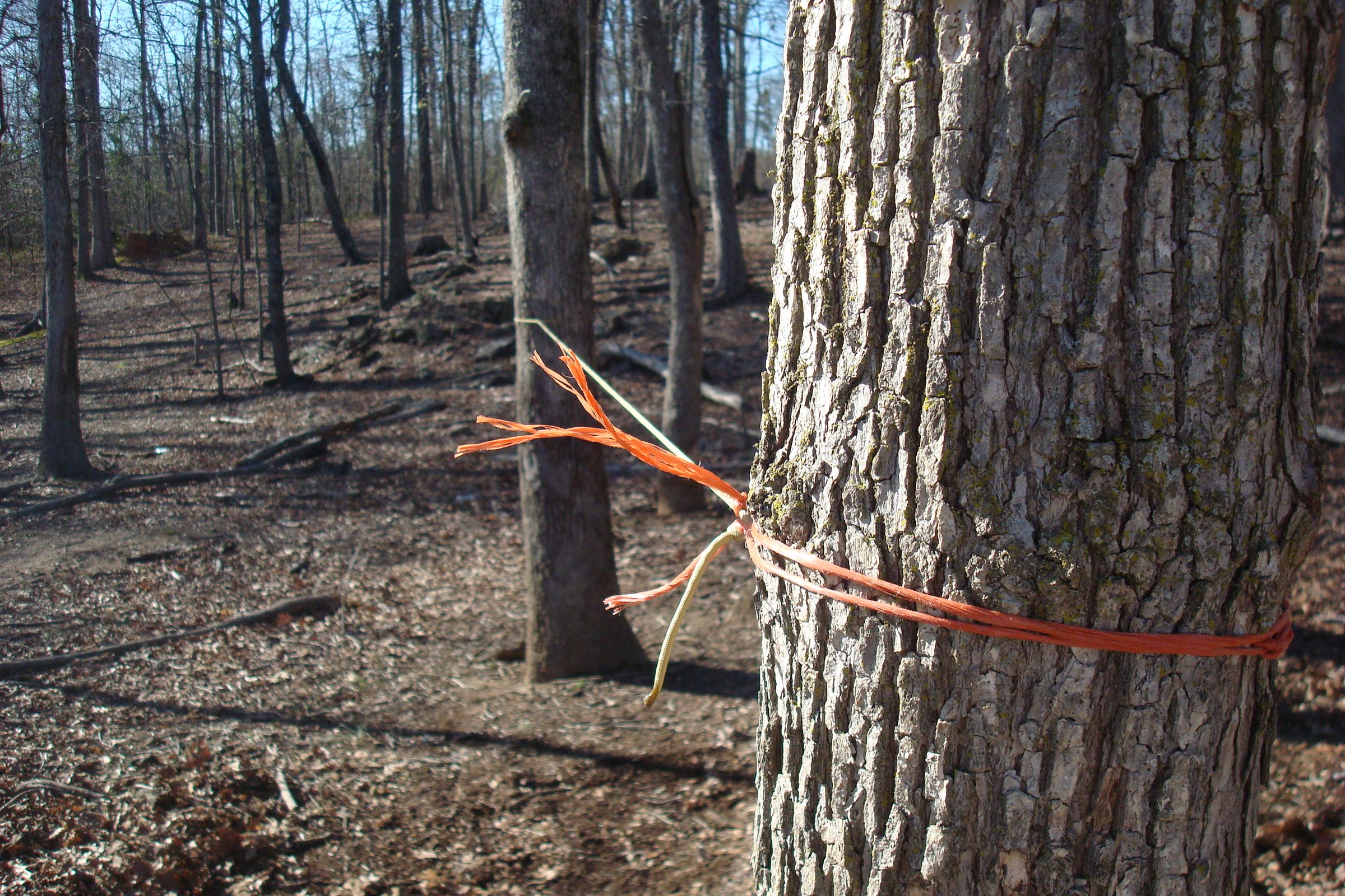 Paracord Tent Or, Hobos Tent : 5 Steps - Instructables
