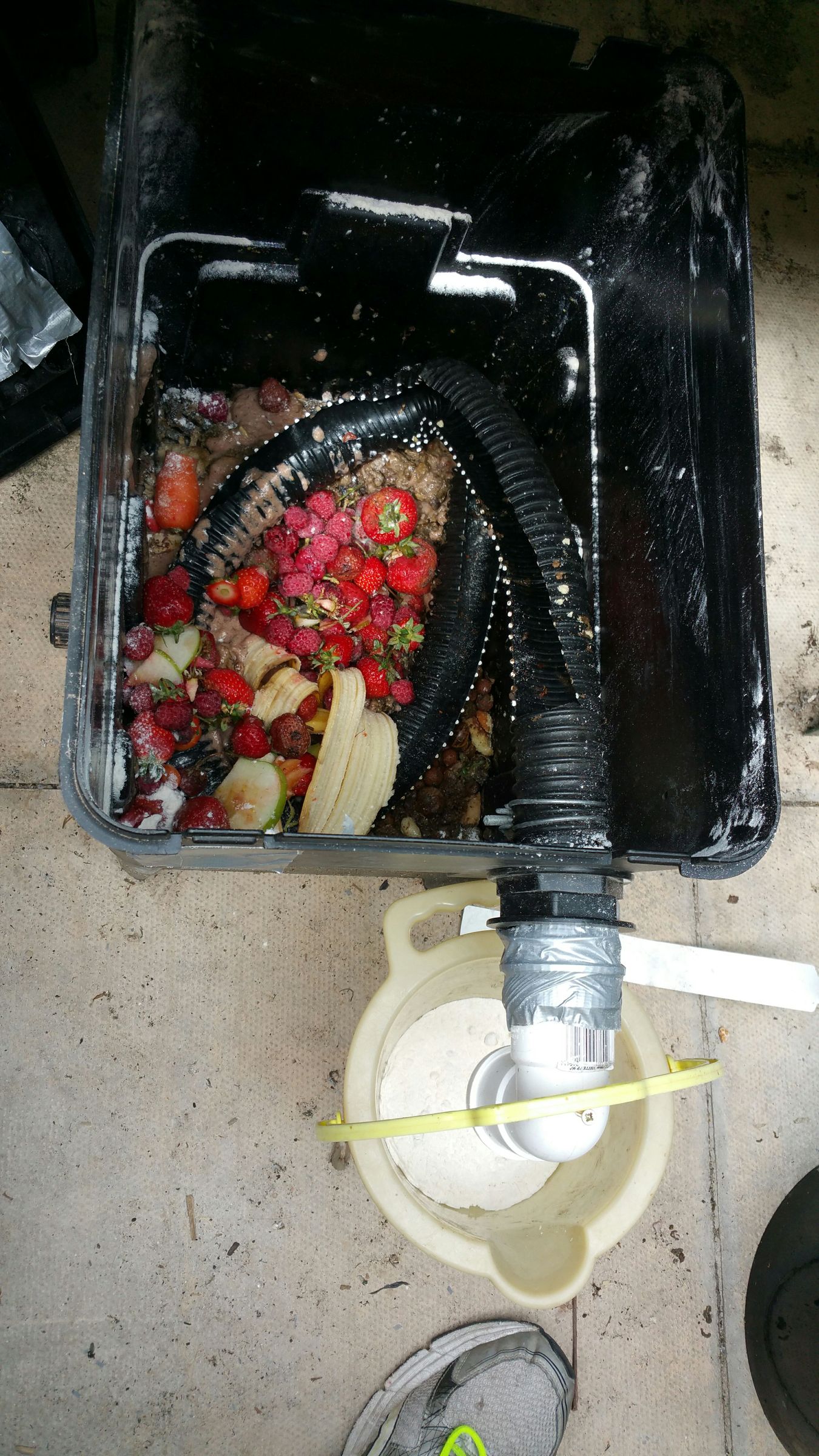 Fly Farm Box. Maggot Box. : 8 Steps (with Pictures) - Instructables