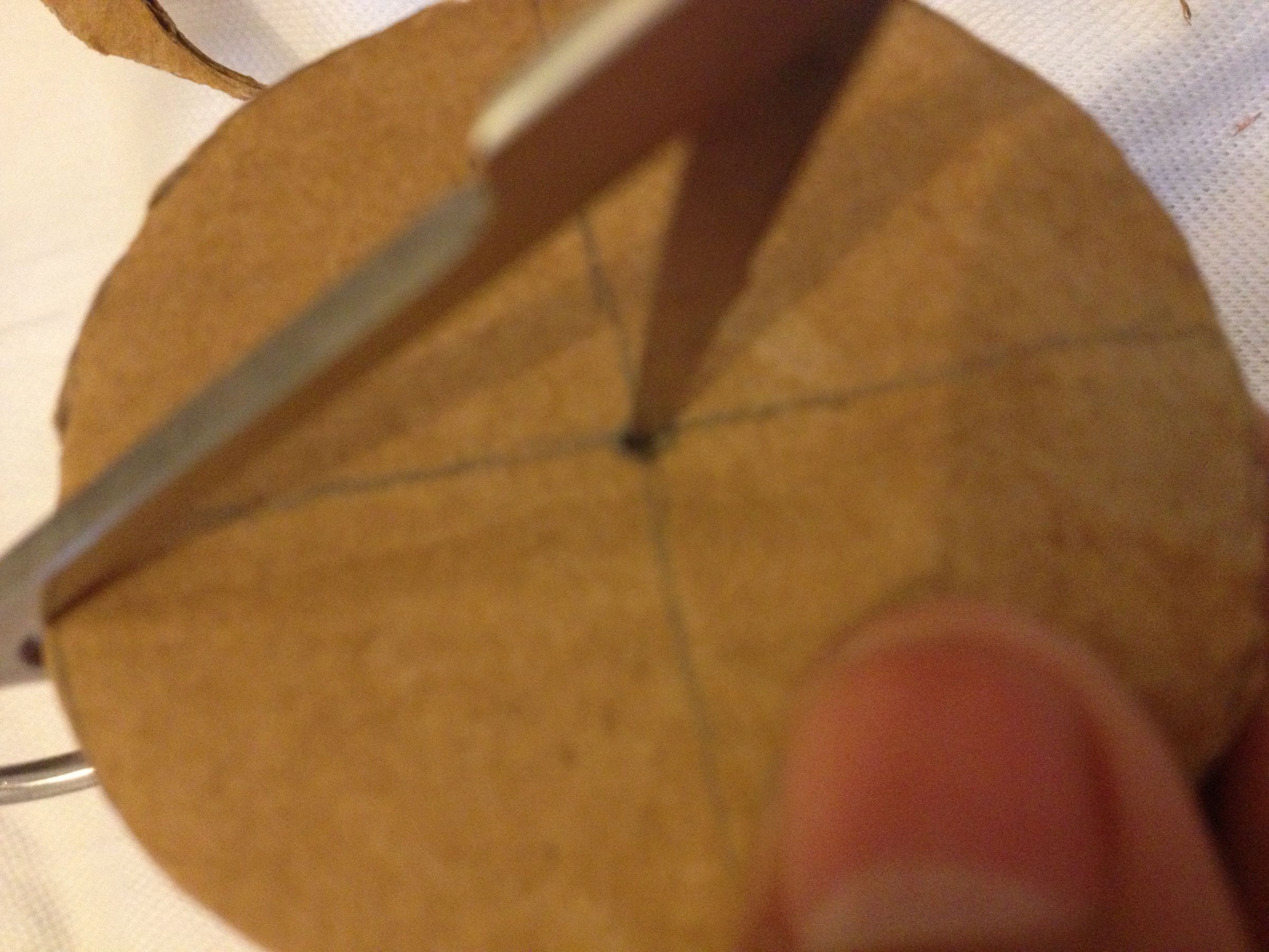 How to Make an Electroscope Easily : 12 Steps - Instructables