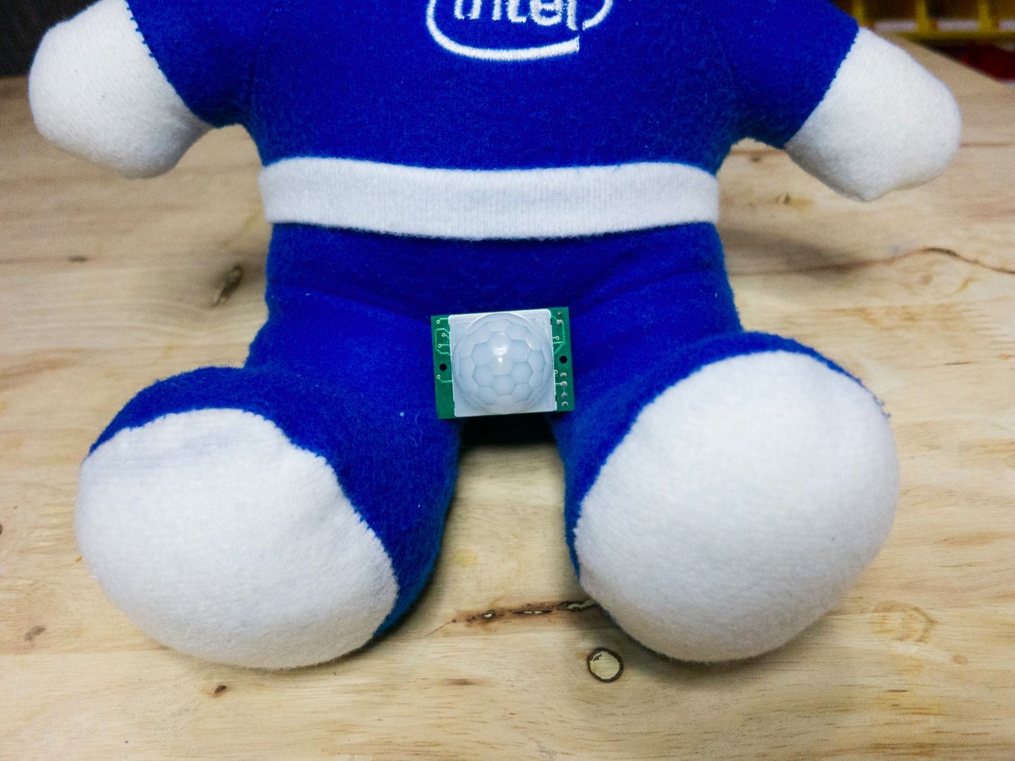 Intel Bunny Smart Doll : Guest & Intruder Notification : 11 Steps (with ...