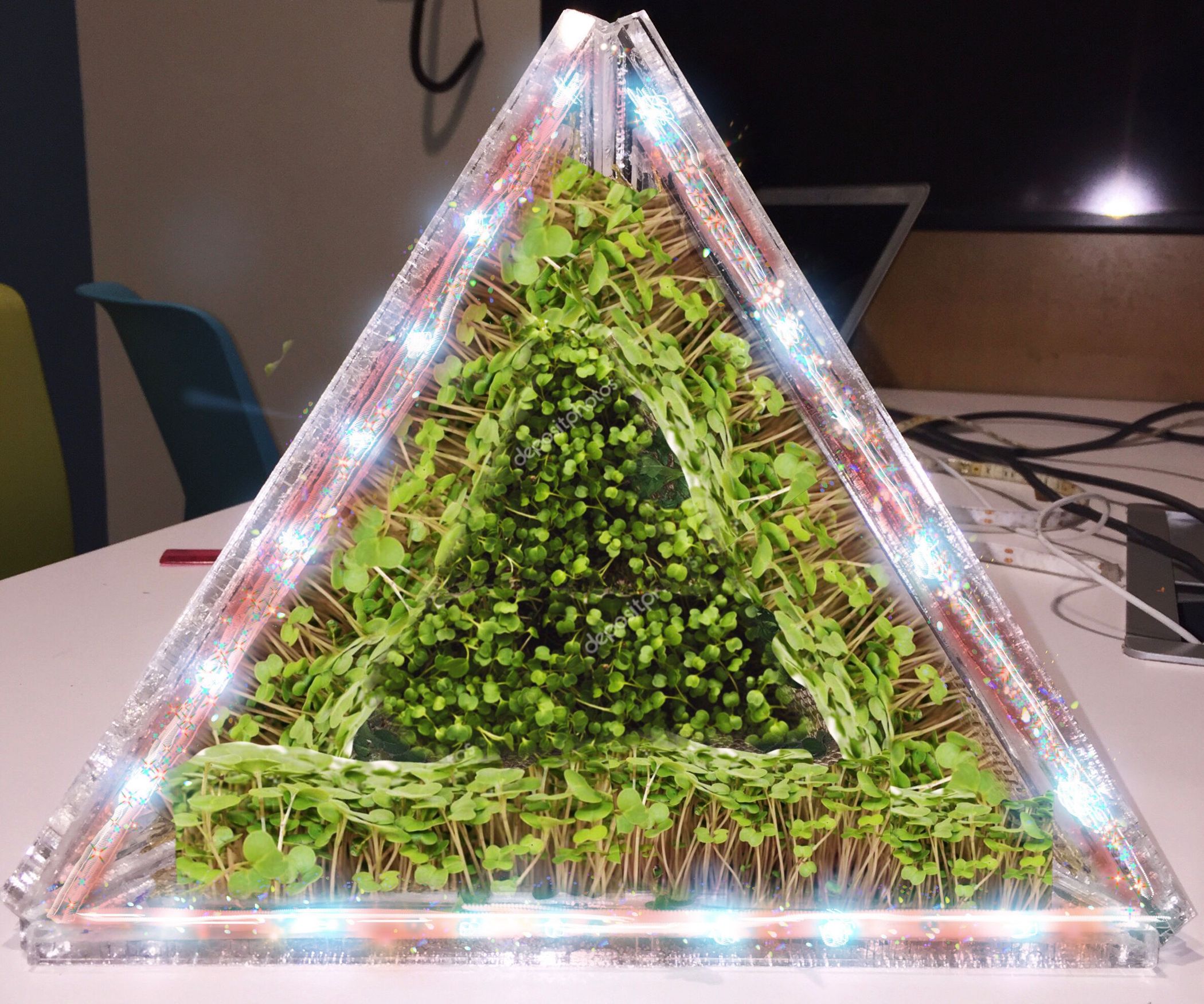 TetraEden : 9 Steps (with Pictures) - Instructables
