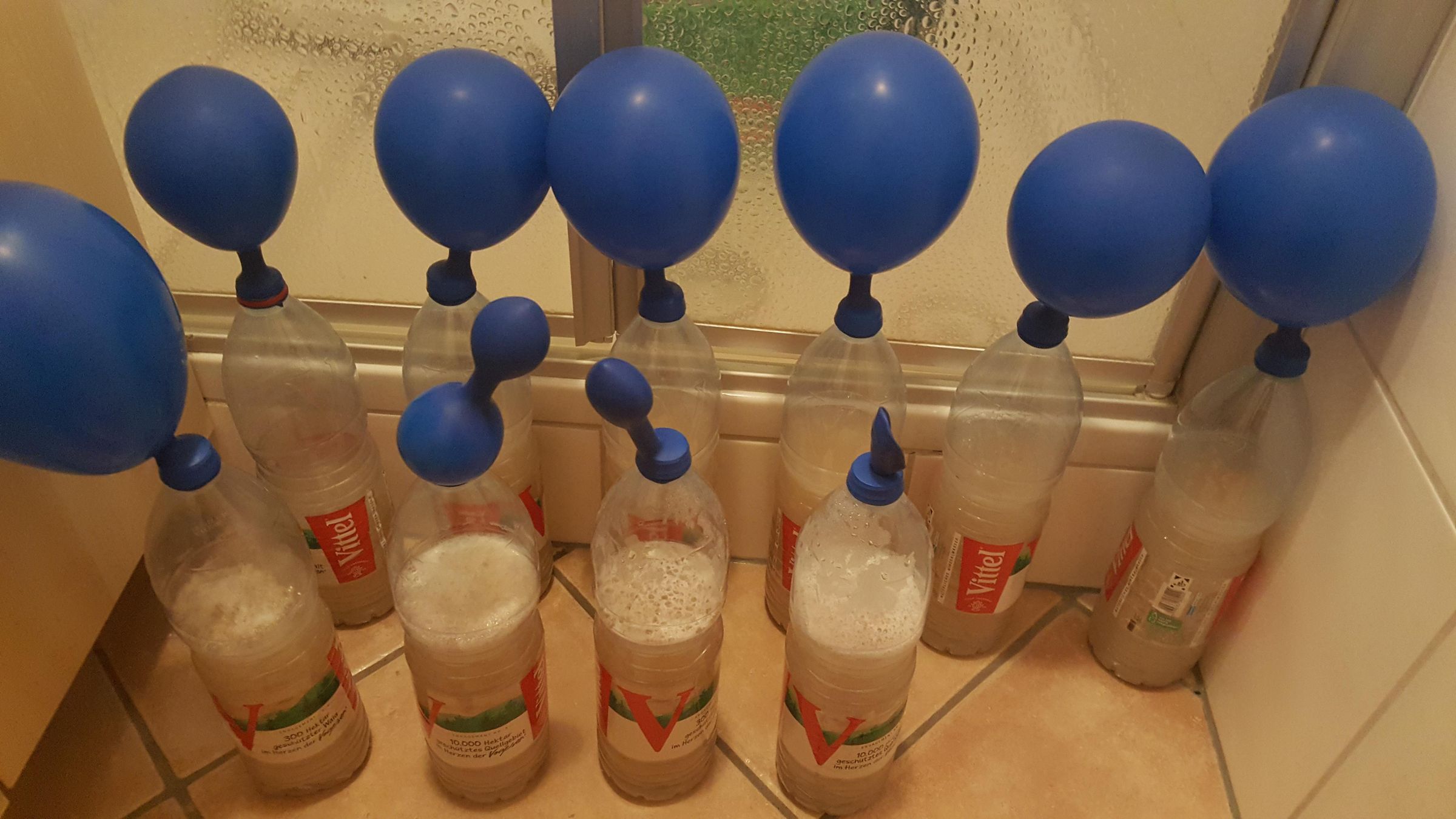How to Make Kilju : 4 Steps - Instructables