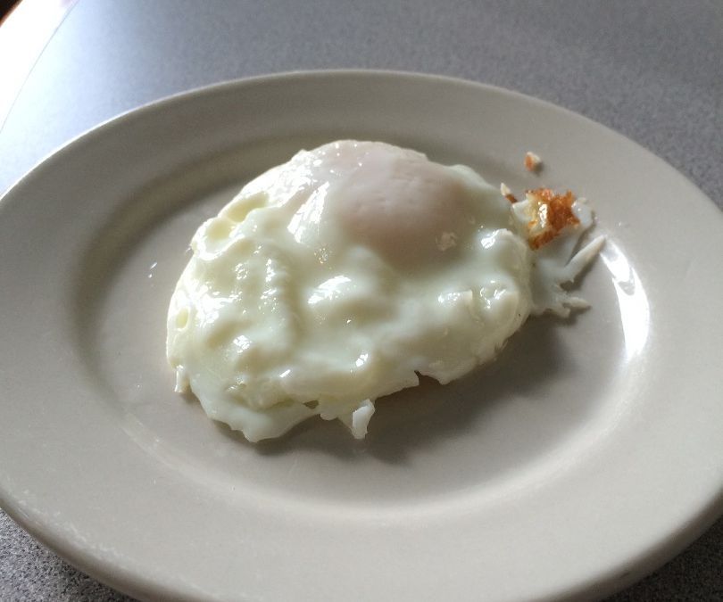 Dorky Biologist Pink Eggs : 6 Steps - Instructables