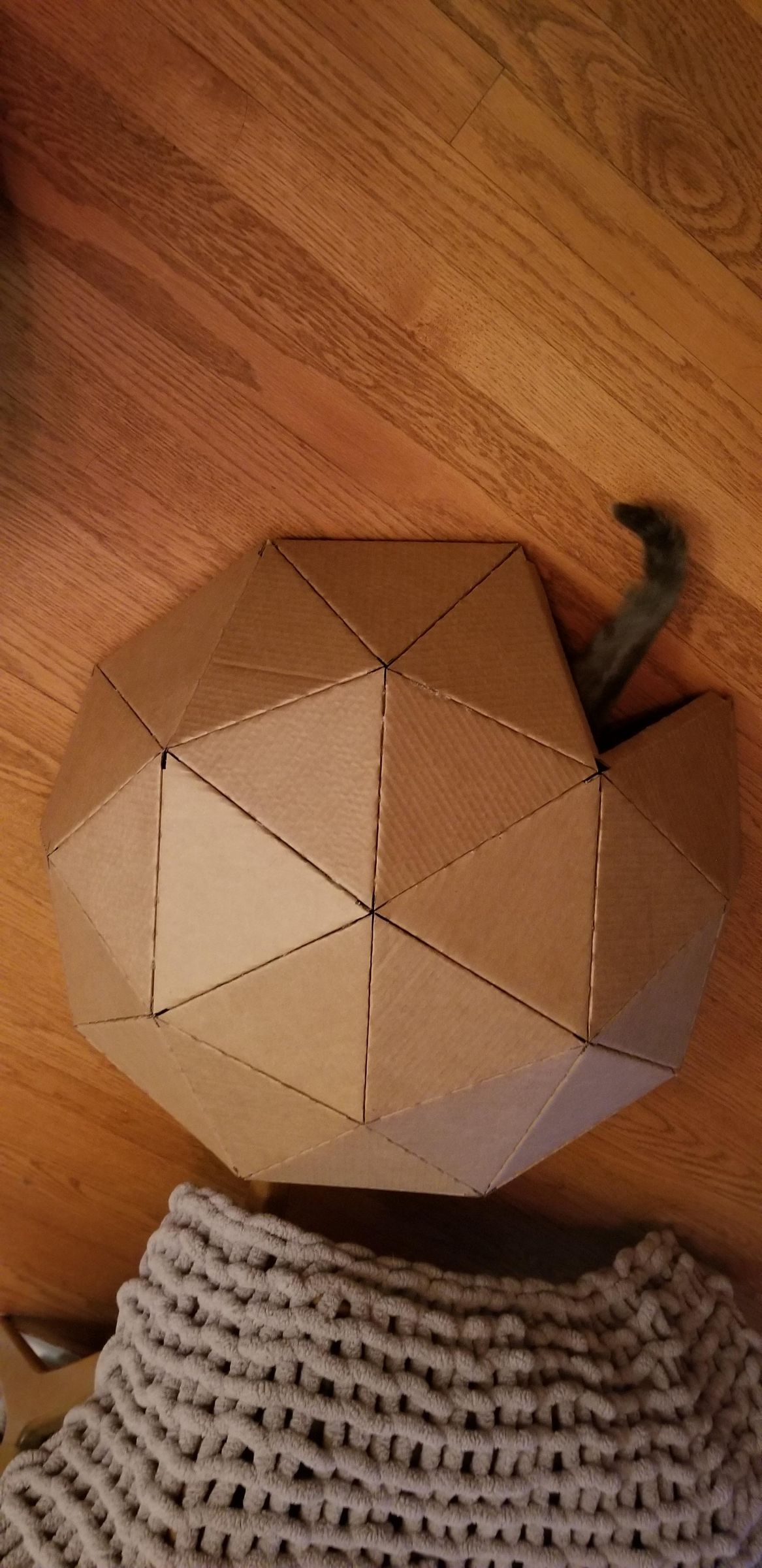 Cardboard Geodesic Dome : 7 Steps (with Pictures) - Instructables