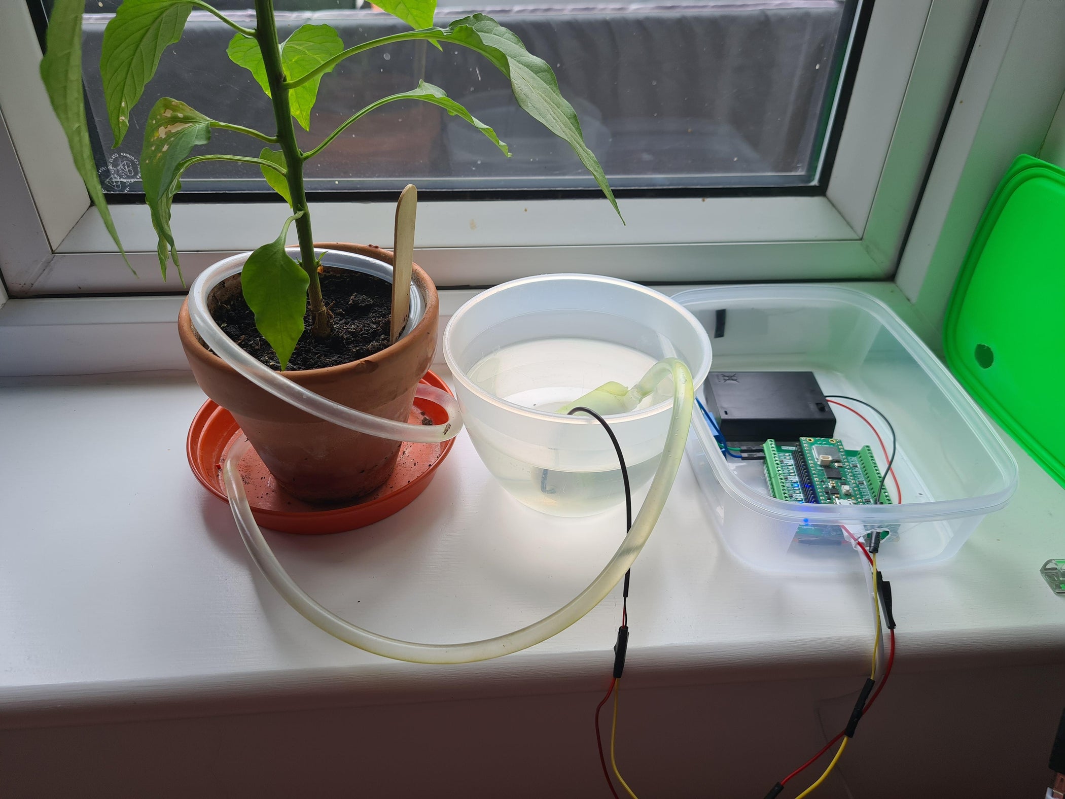 PlantyPi - Raspberry Pi Pico Plant Watering Device. : 6 Steps (with ... PlantyPi - Raspberry Pi Pico Plant Watering Device. : 6 Steps (with ...