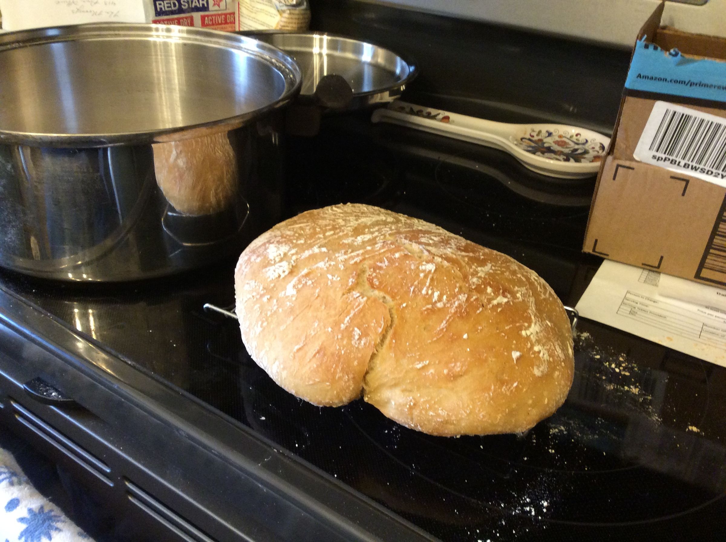 Lazy Man Bread | 4 Ingredients Bread Recipe | No Knead | No Machine ...