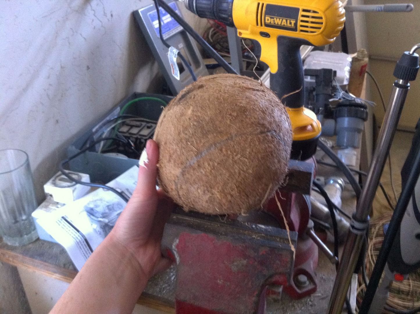 Coconut Hut | a Home for Birds & Creatures : 6 Steps (with Pictures ...
