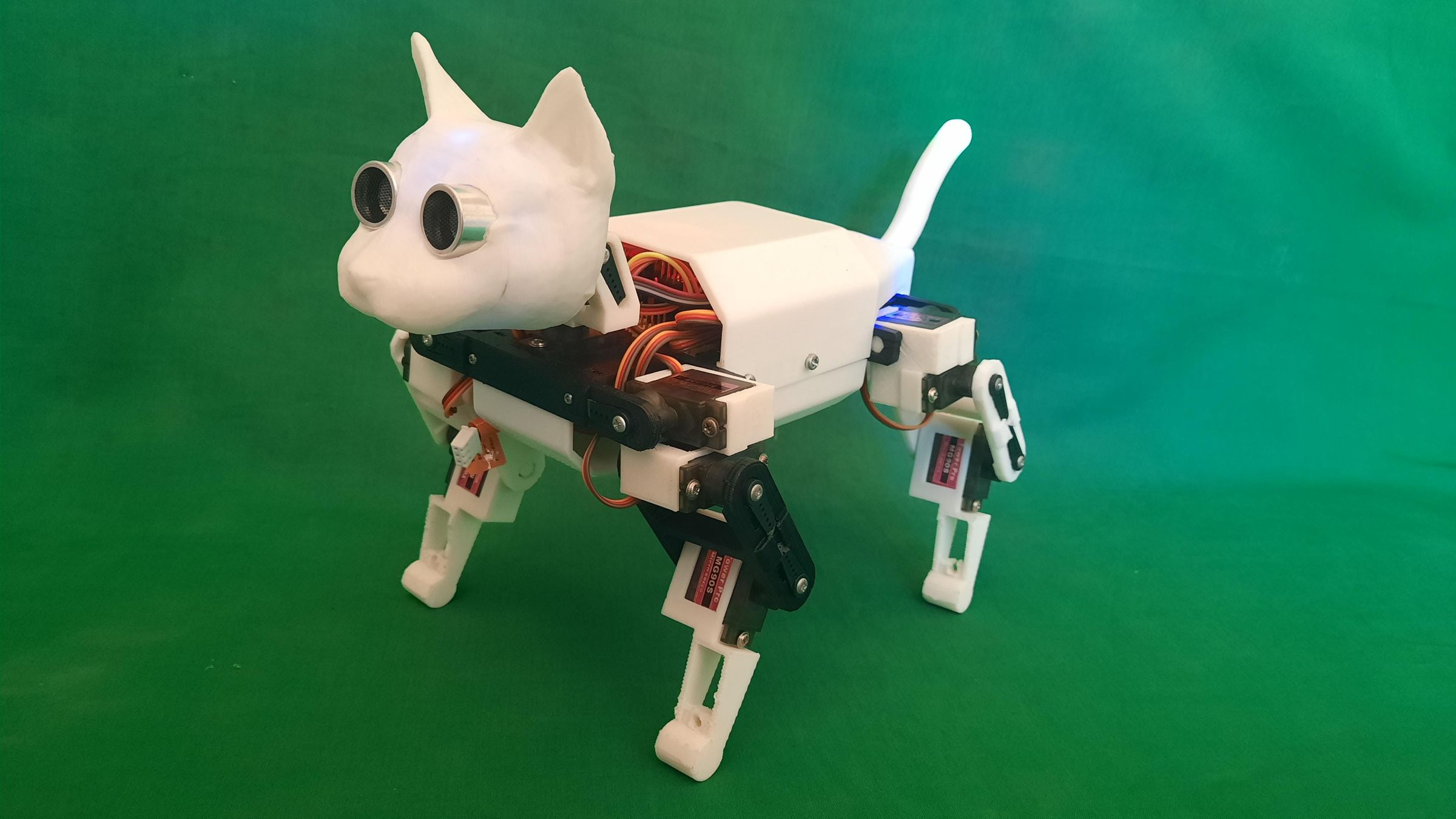 Leo: the Pet Cat : 7 Steps (with Pictures) - Instructables