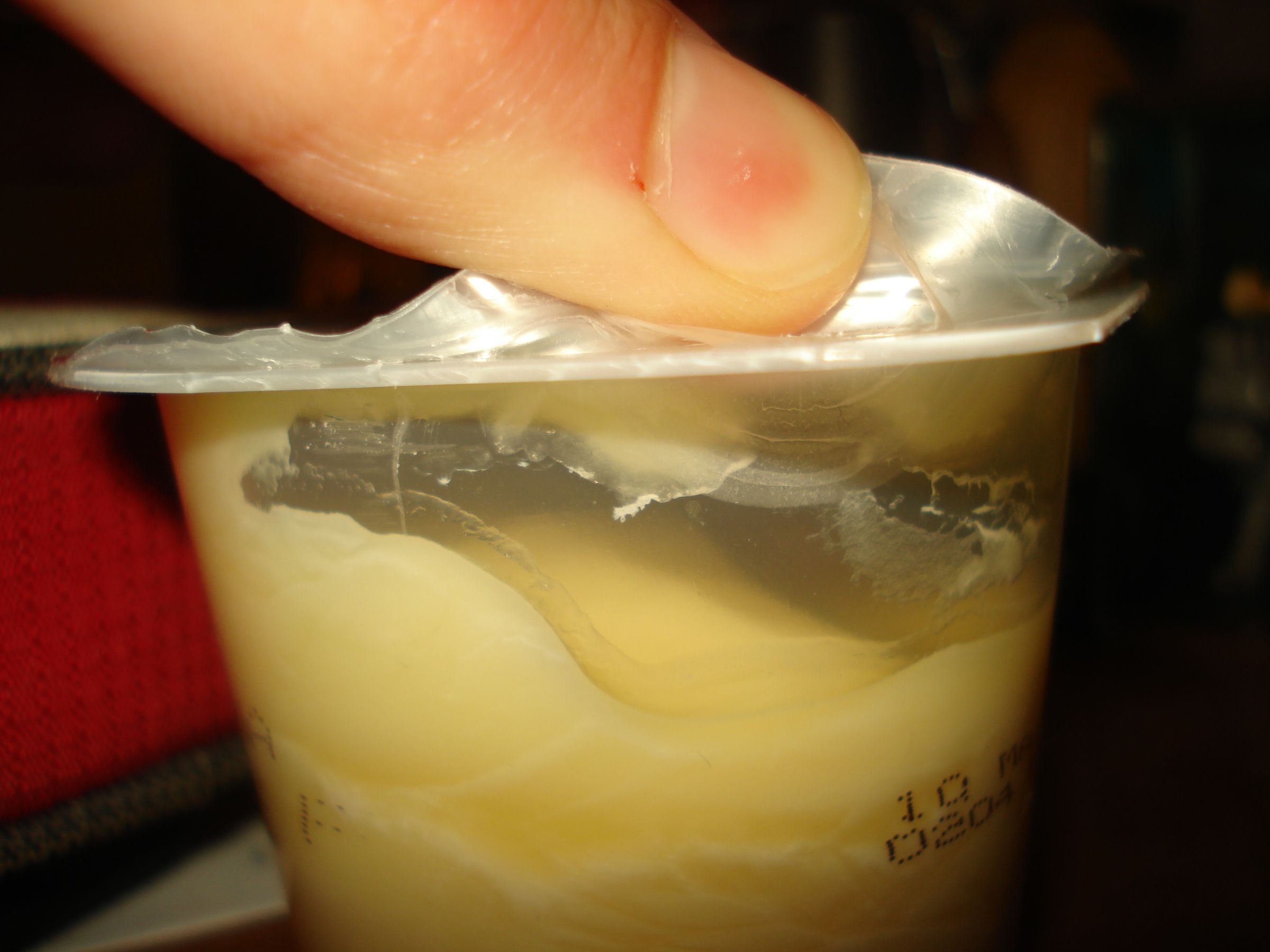 How to Separate a Bag of Pudding From the Pudding Cup : 6 Steps ...