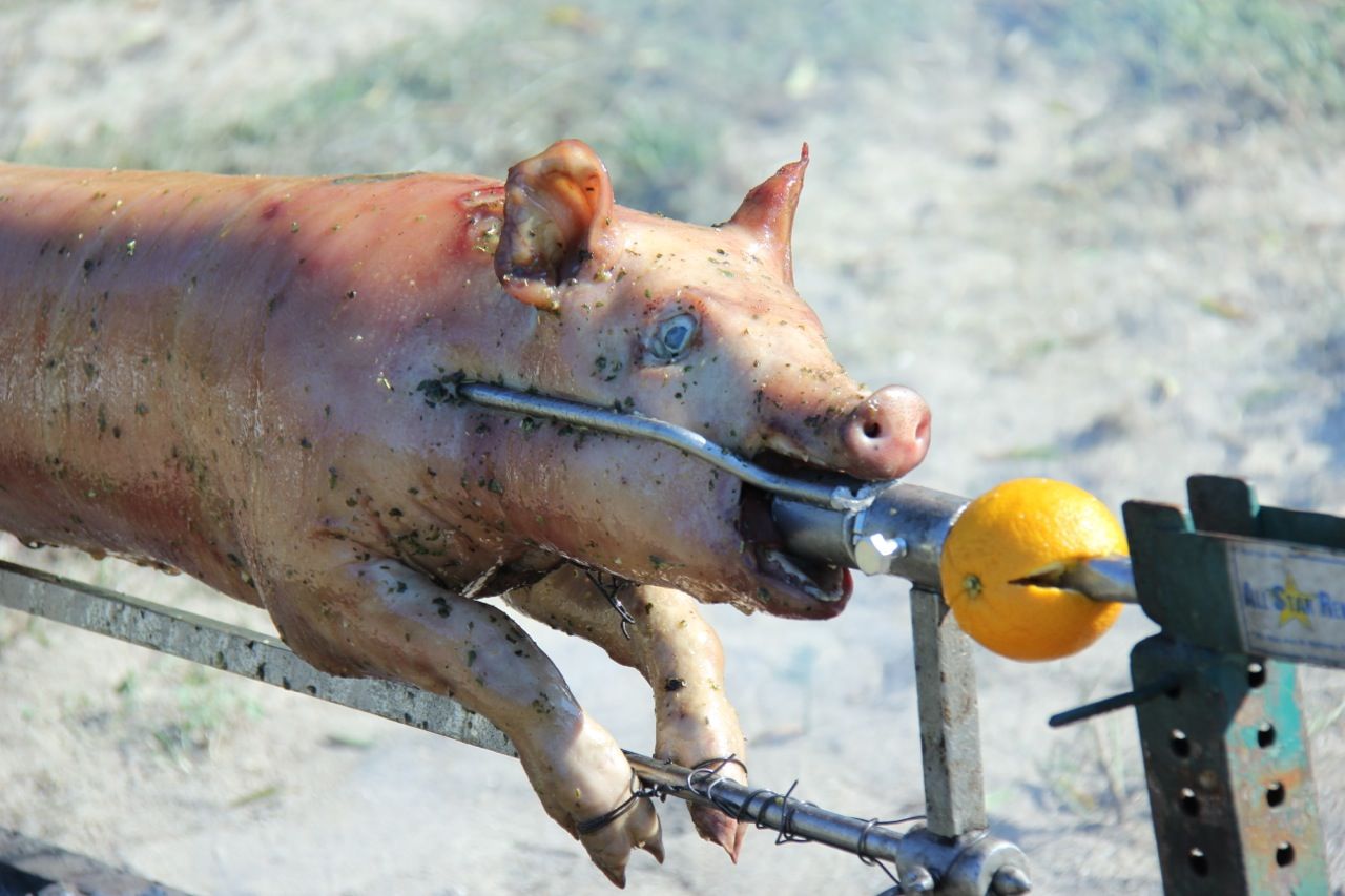 How to Roast a Pig : 20 Steps (with Pictures) - Instructables
