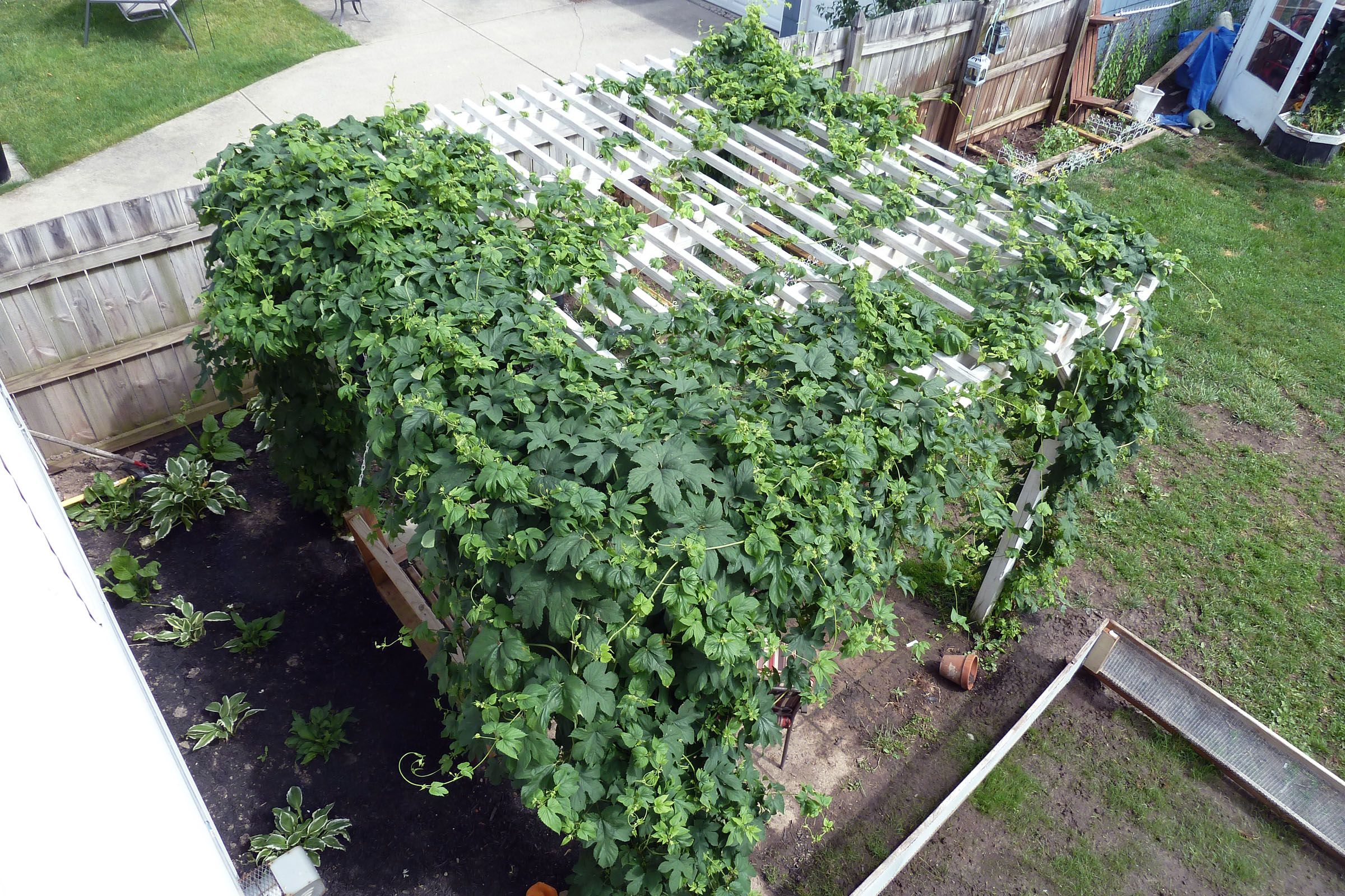 Hop Drying Oast : 6 Steps (with Pictures) - Instructables