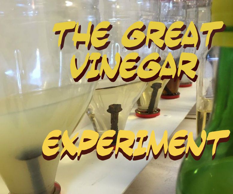 The Great Vinegar Experiment : 17 Steps (with Pictures) - Instructables
