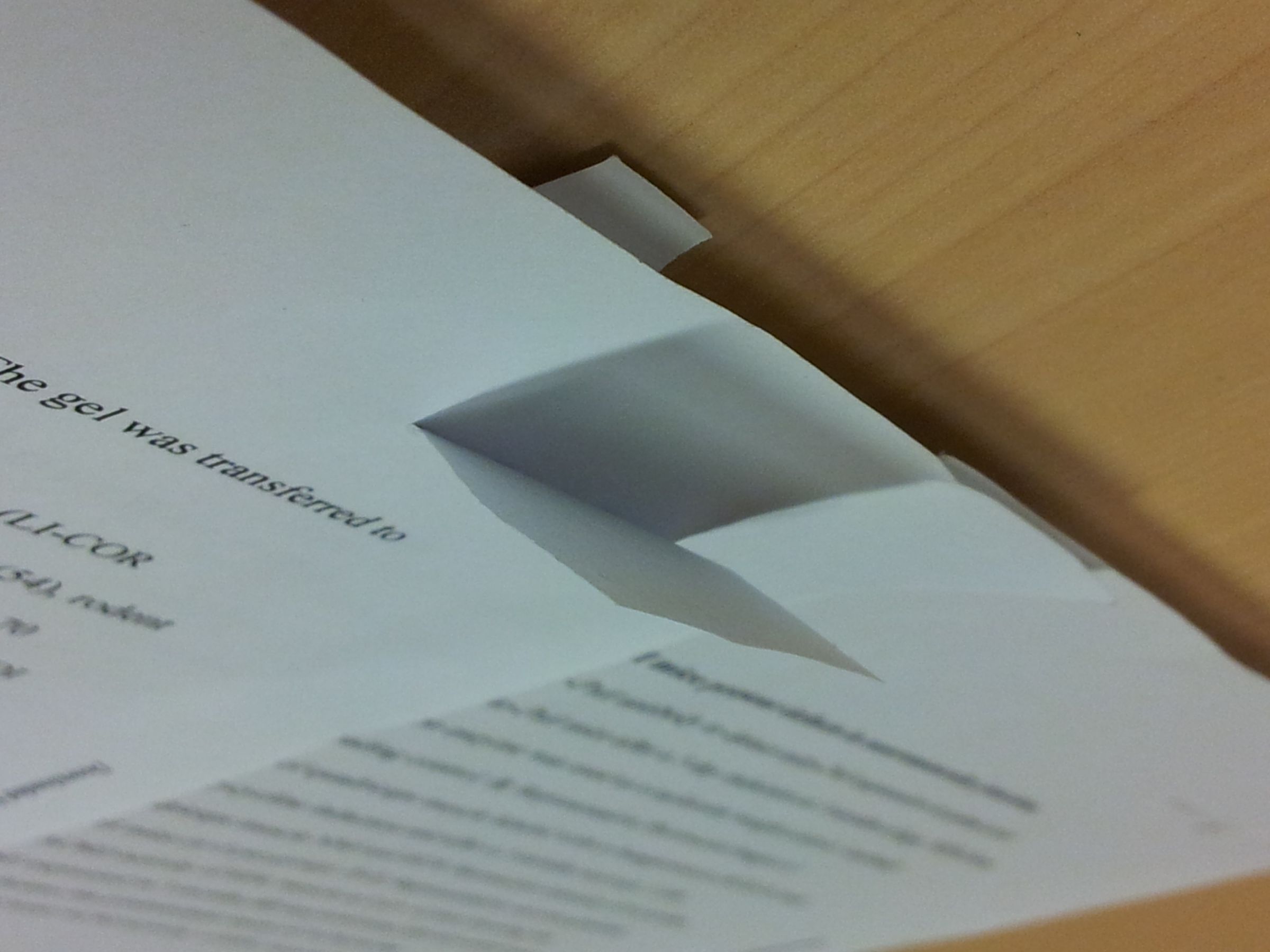 Paper Joint/Suture (A0) : 7 Steps - Instructables