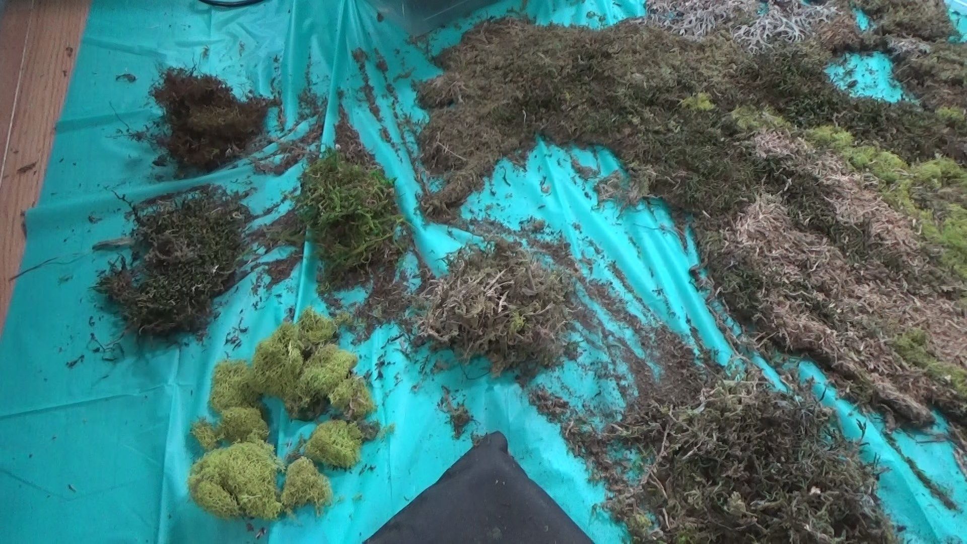 Floating World Backlit Moss Map With Arduino Fiber Optic LED Cities ...