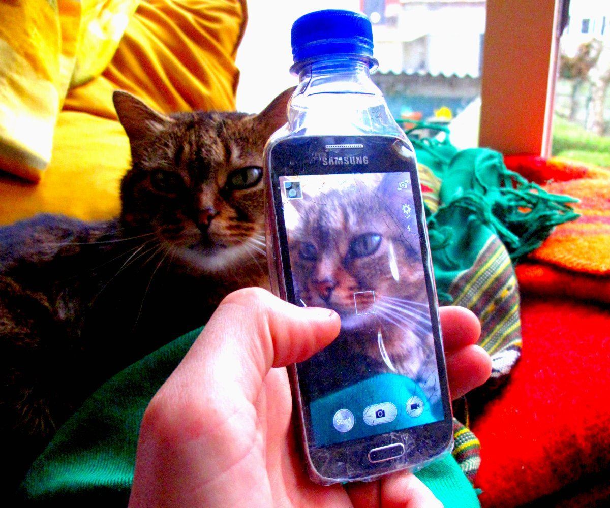 The Bottlephone:Trash Smartphone Cover : 8 Steps (with Pictures ...