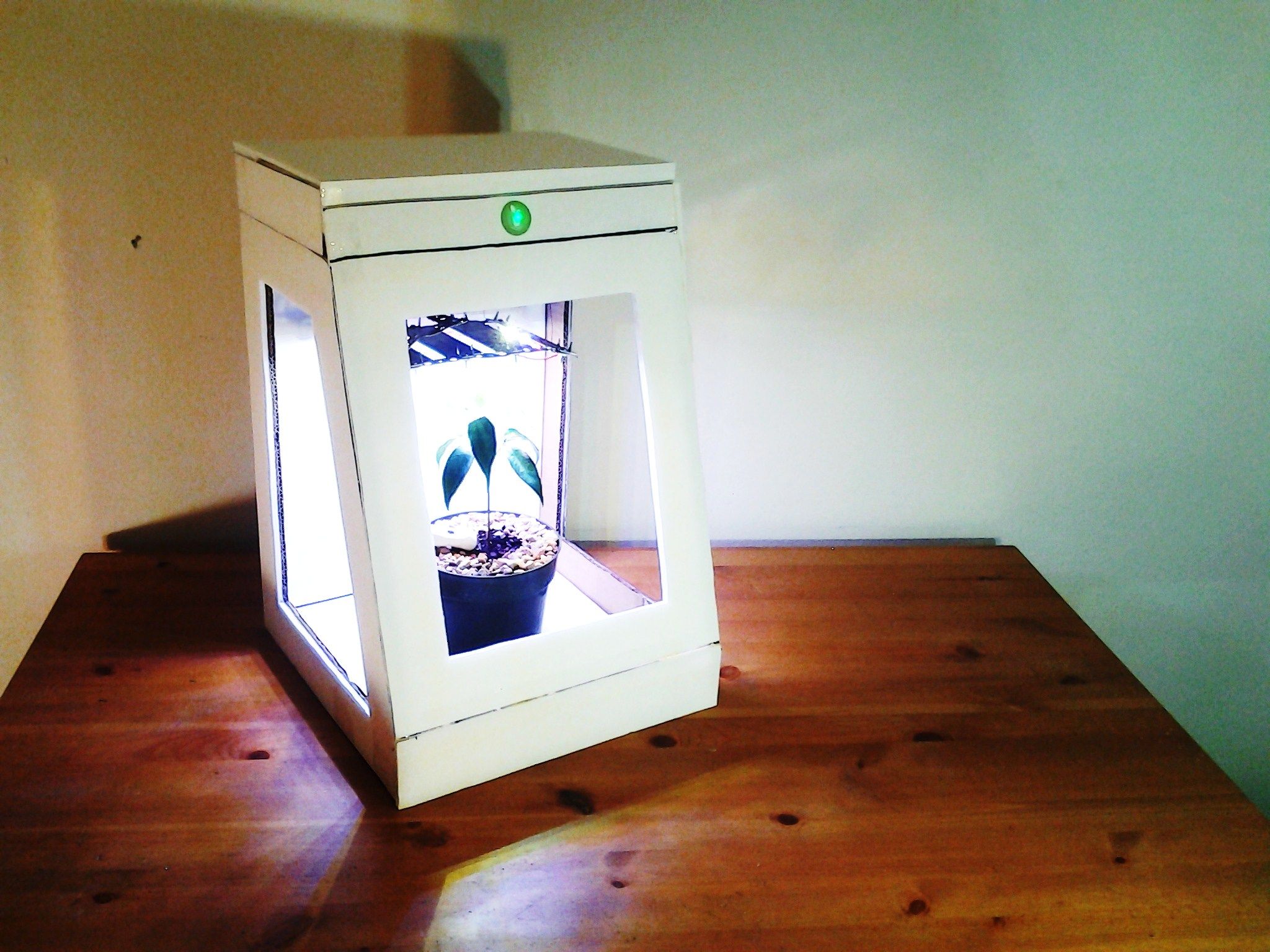 The Plant Box : 6 Steps - Instructables