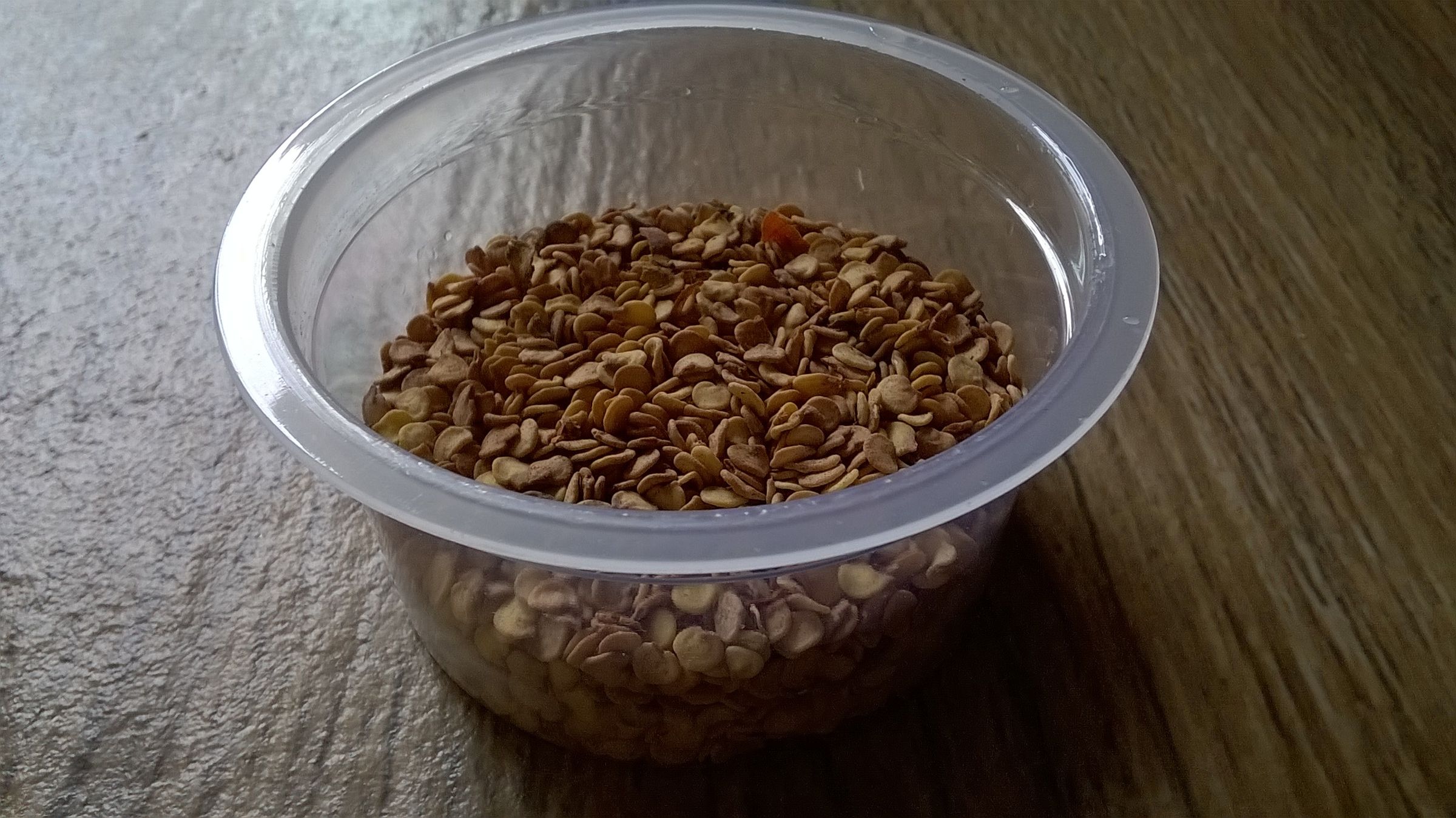 Plants Cup : 4 Steps - Instructables