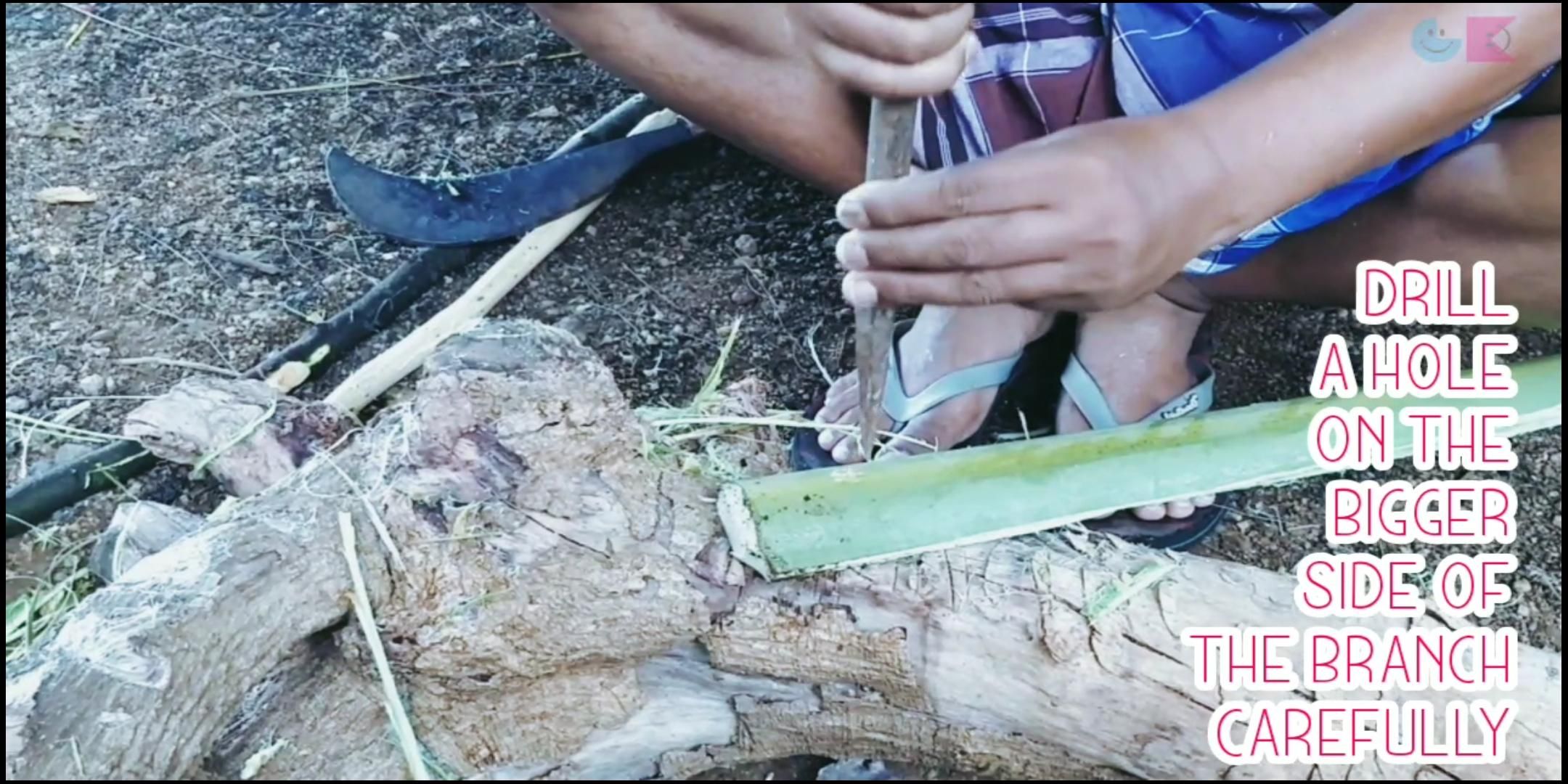 Palm Cart Using Palm Fruit : 6 Steps (with Pictures) - Instructables