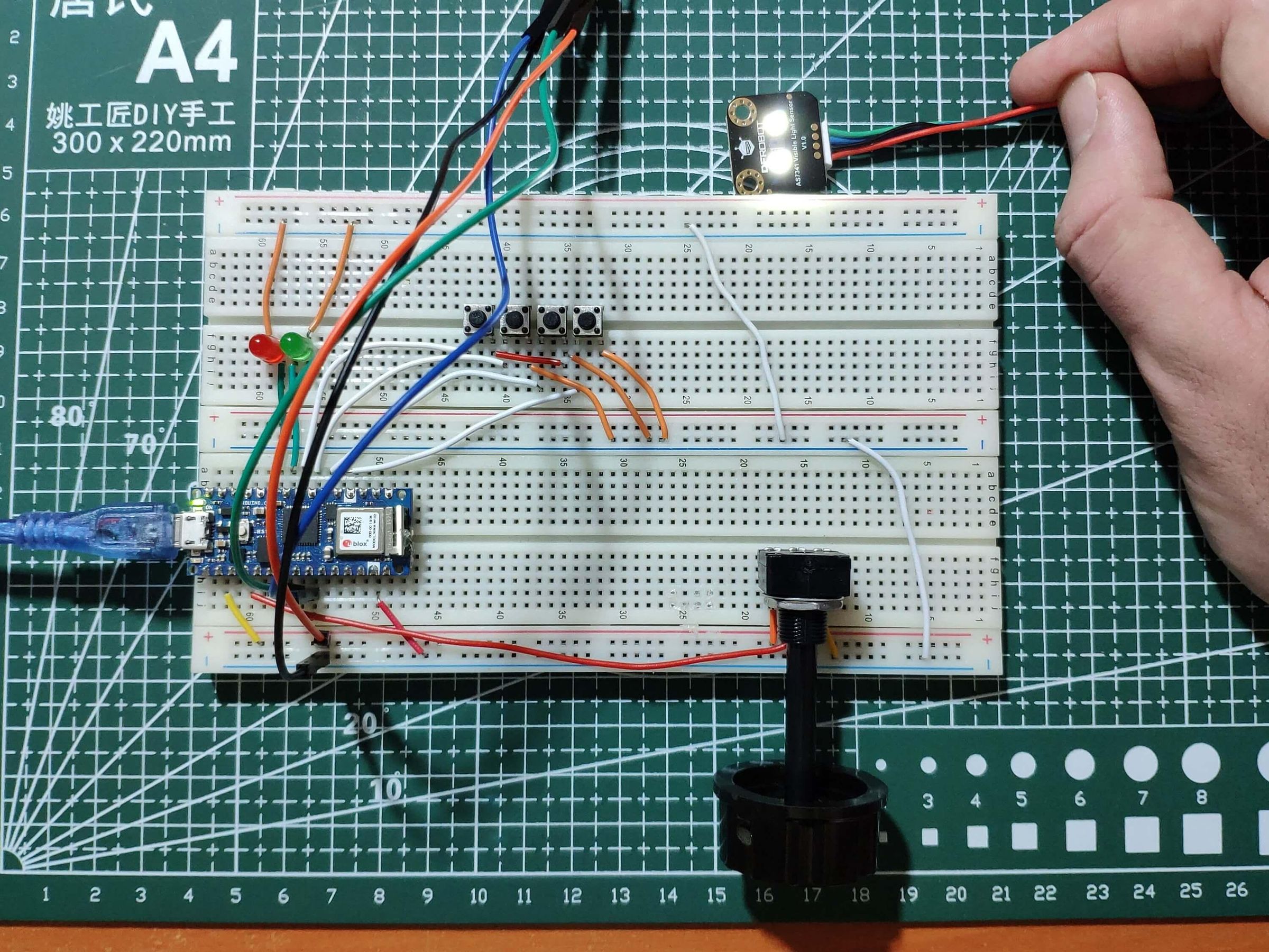 Vegetables and Fruits Ripeness Detection by Color W/ TensorFlow : 17 ...