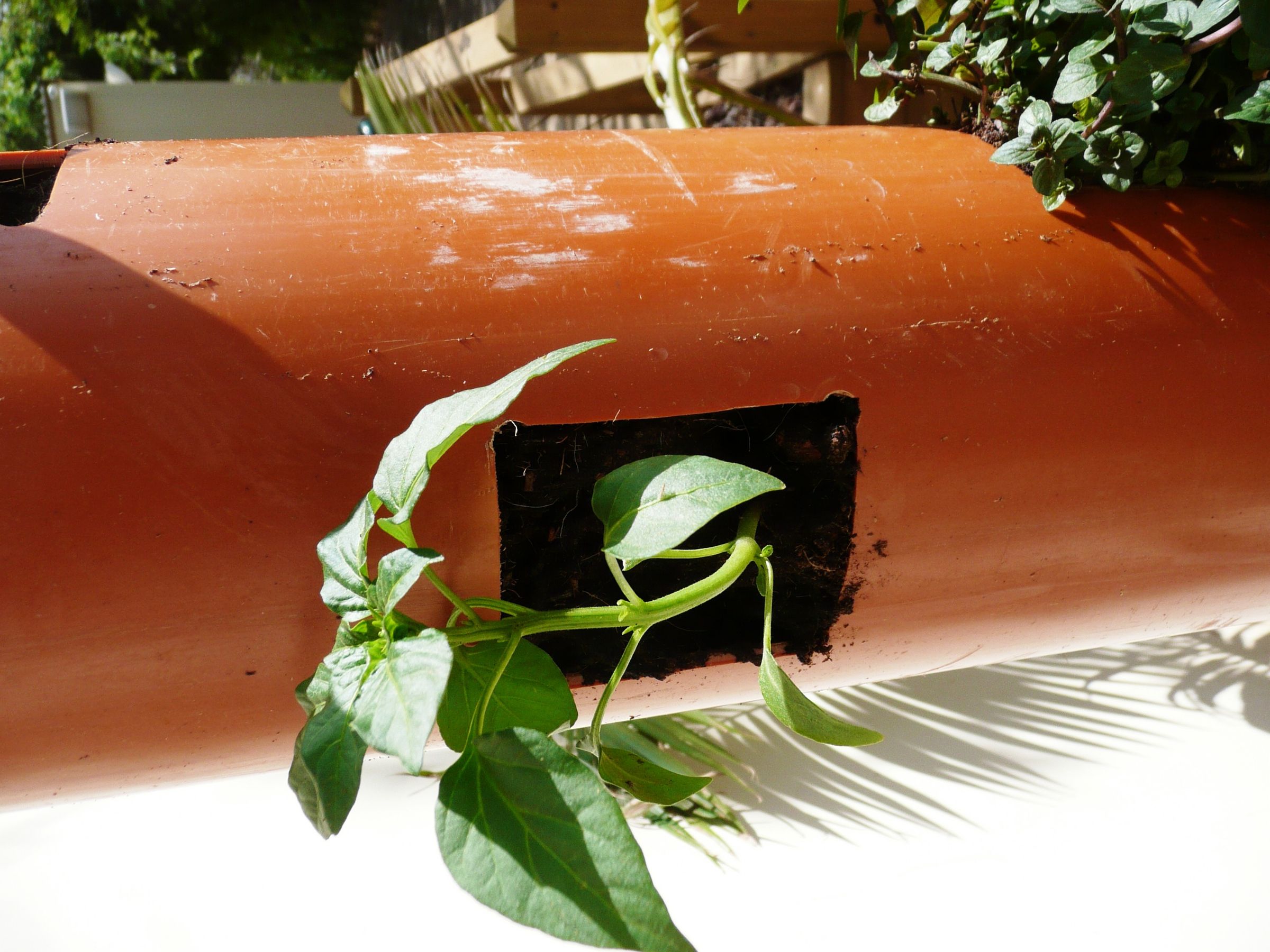 DIY Organic Vertical Planter : 7 Steps (with Pictures) - Instructables