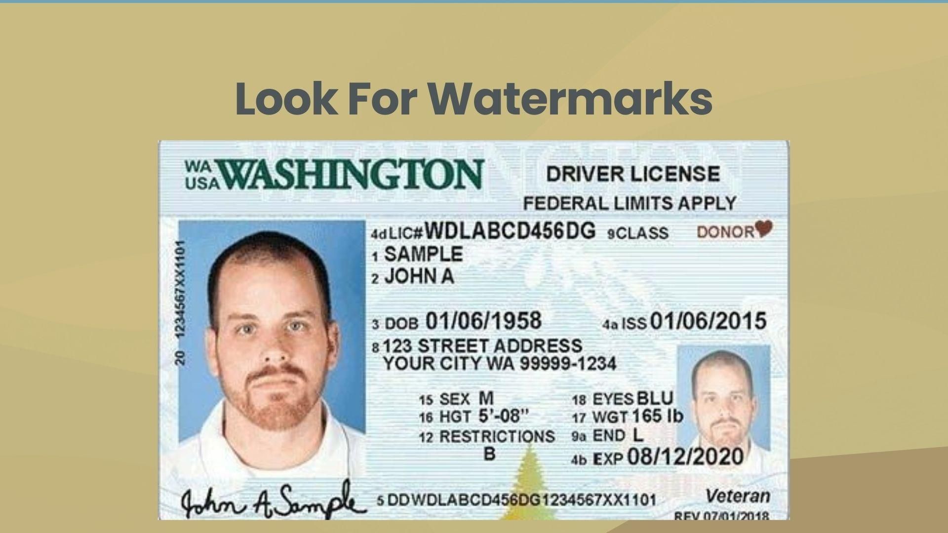 The Ultimate Guide to Spotting Fake IDs : 16 Steps - Instructables