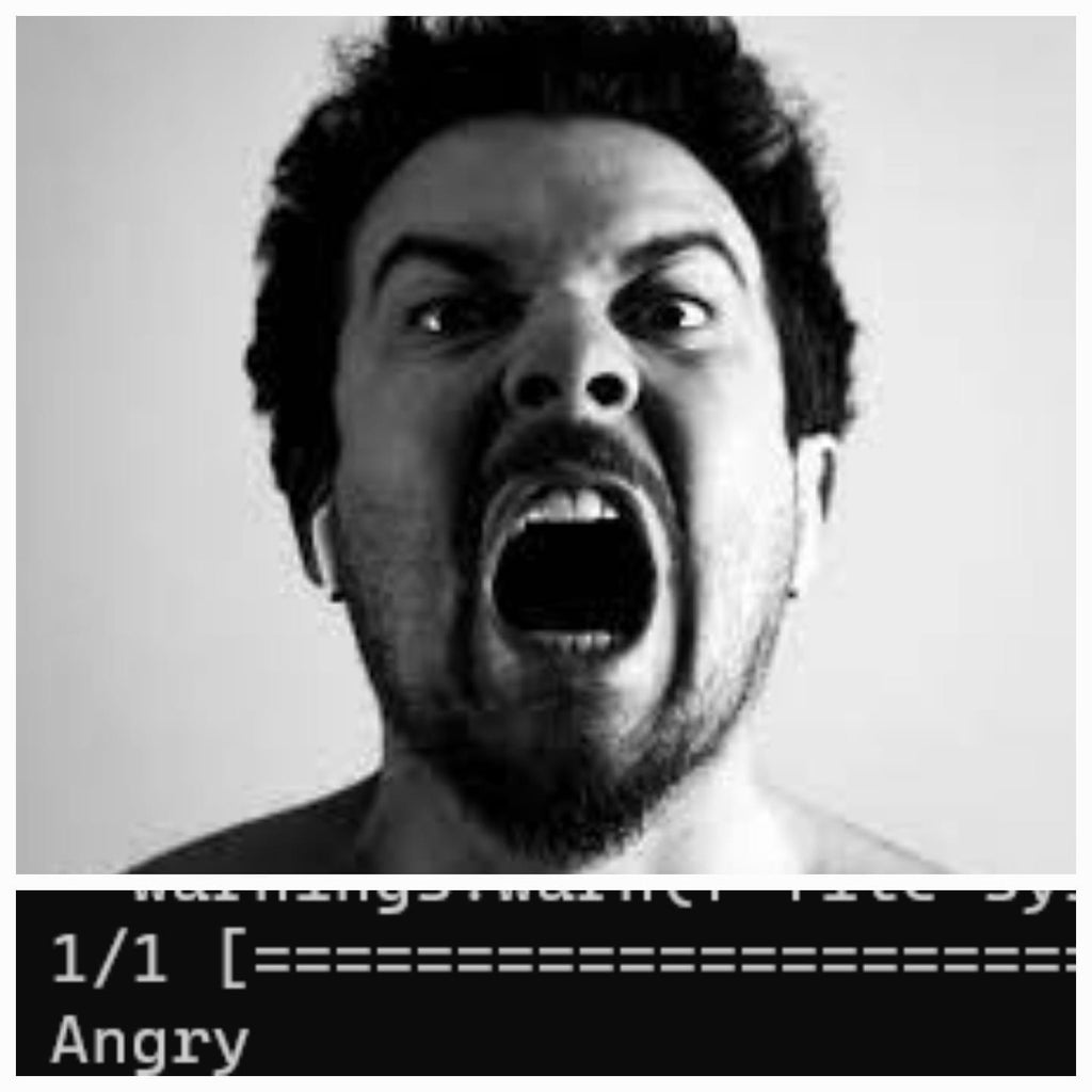 Emotion Recognition Using Brainypi 6 Steps Instructables