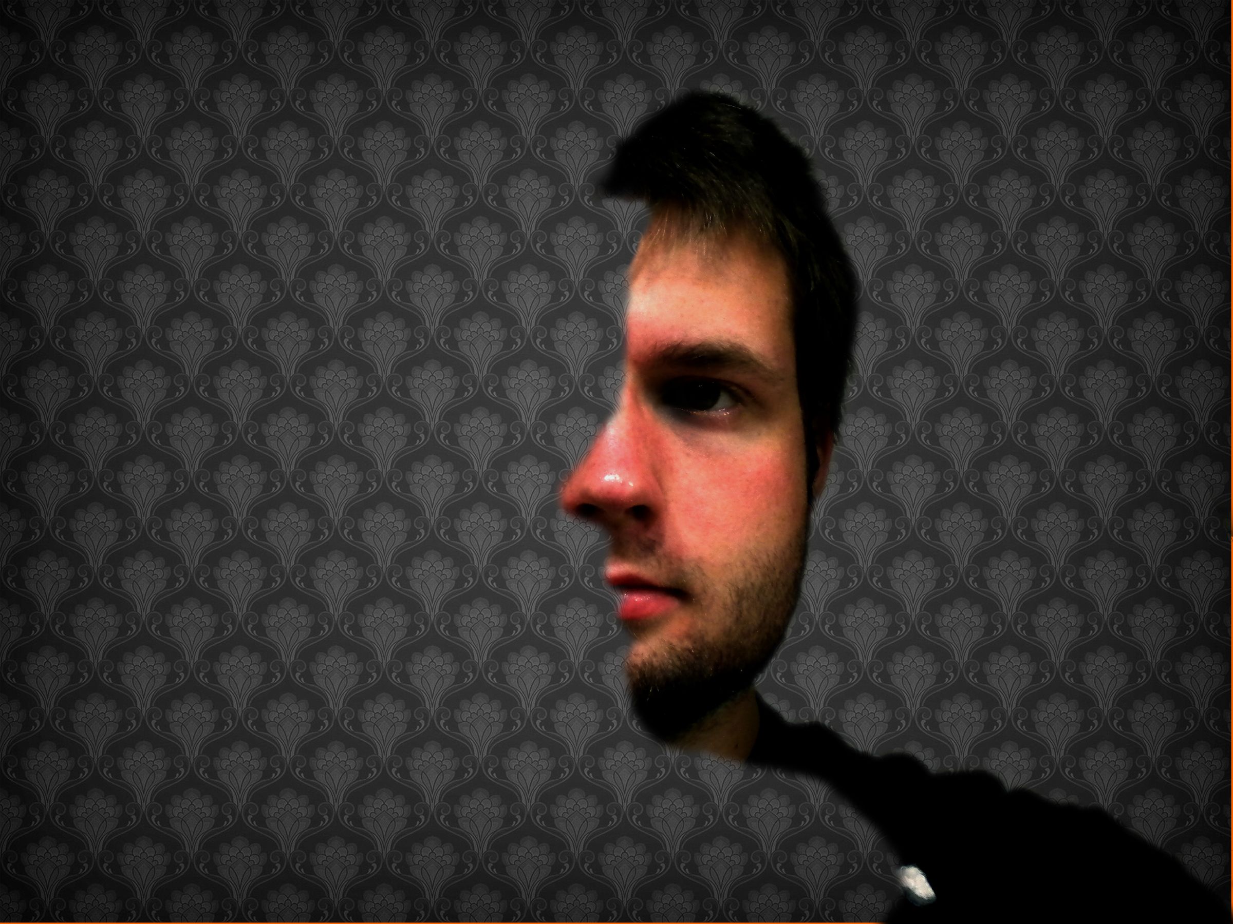 Creepy Double Face Illusion : 4 Steps - Instructables