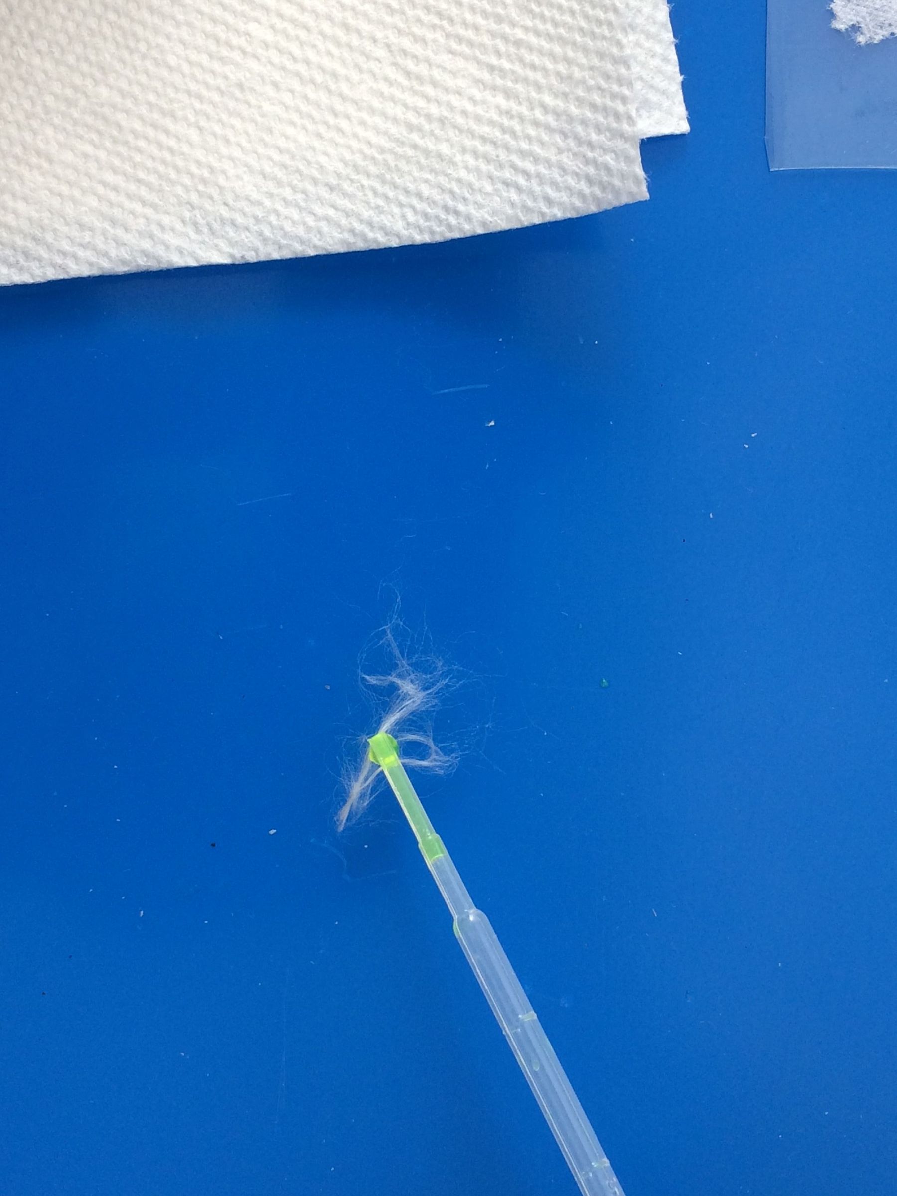 Low-cost Fluorescence and Brightfield Microscopes : 9 Steps (with ...