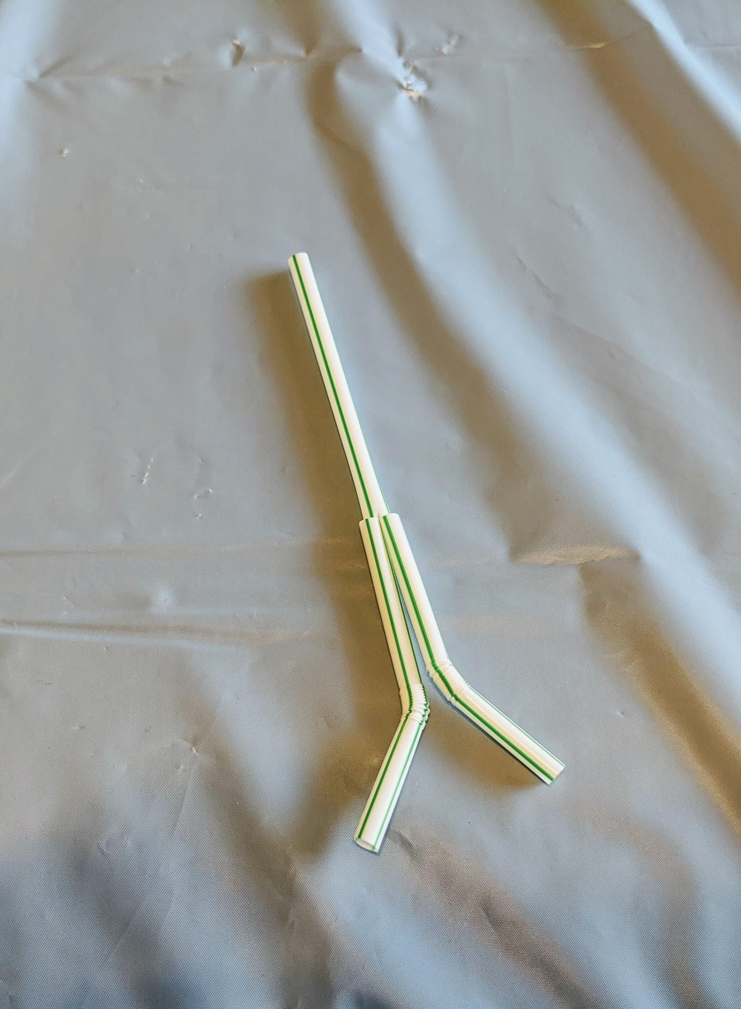 Make a Human Lung Model : 9 Steps (with Pictures) - Instructables