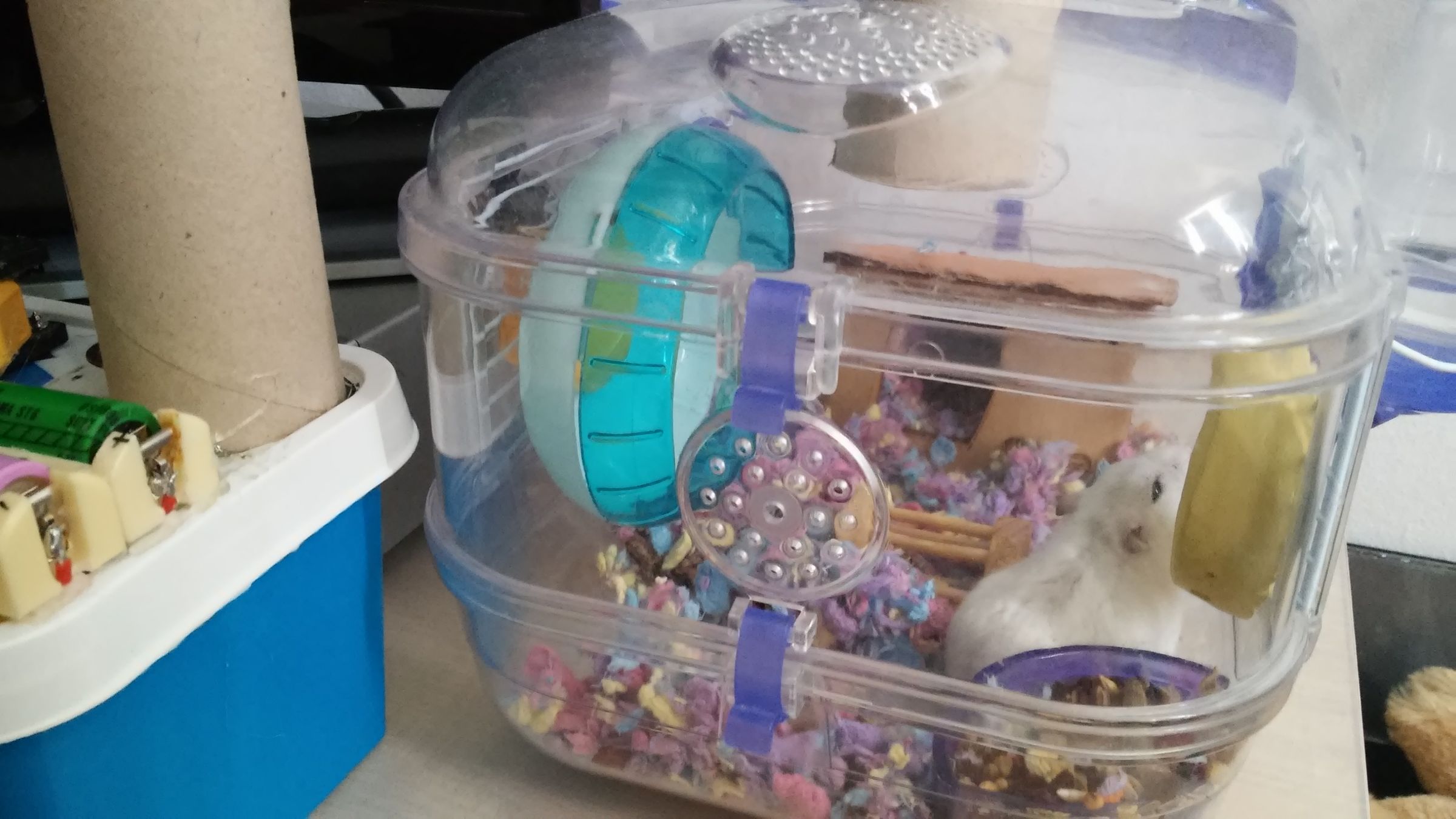 Hamster Air Conditioning System : 6 Steps (with Pictures) - Instructables