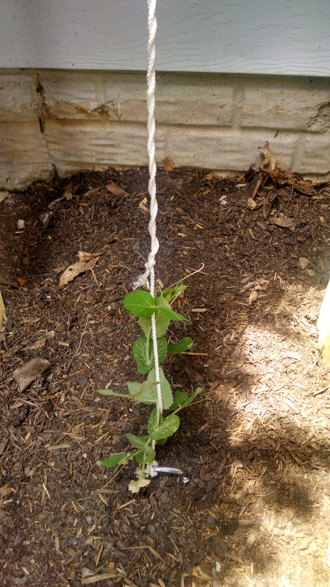 Macrame Trellis : 3 Steps - Instructables