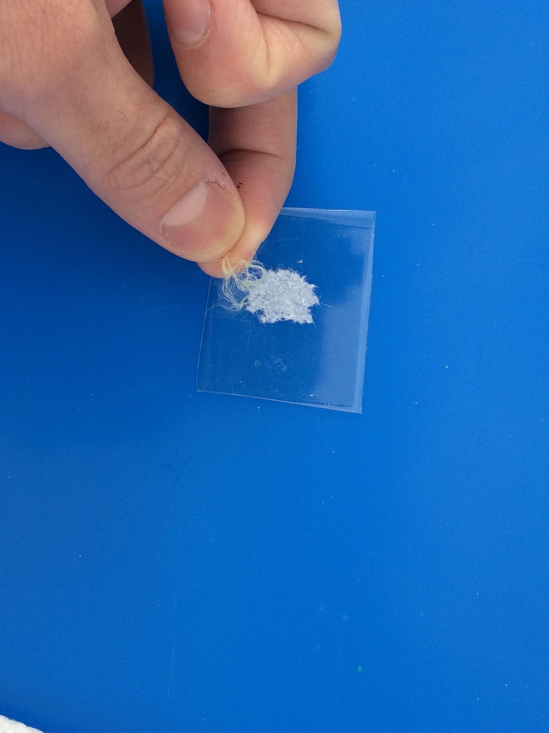 Low-cost Fluorescence and Brightfield Microscopes : 9 Steps (with ...