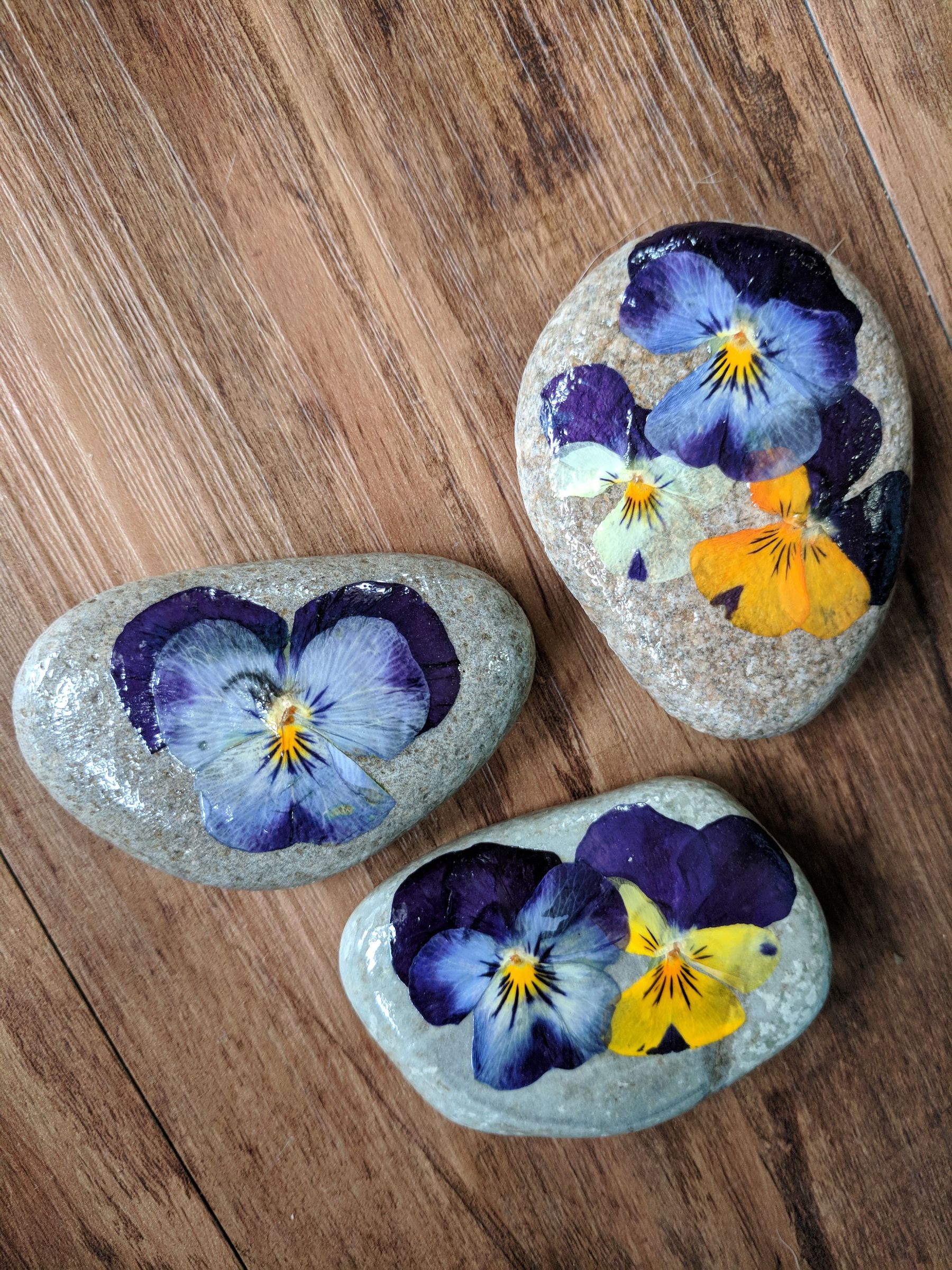 Pressed Flower Rocks : 8 Steps (with Pictures) - Instructables