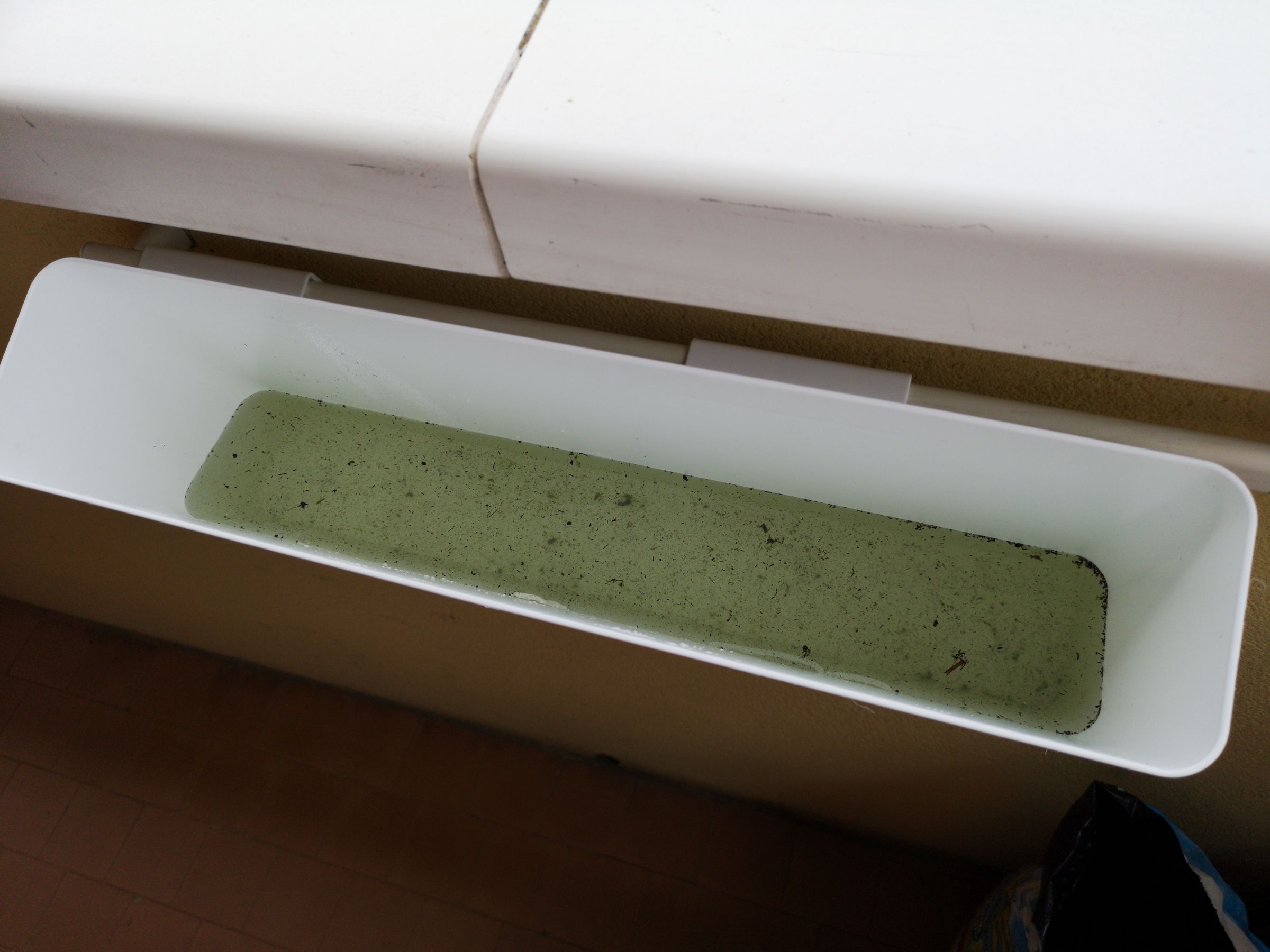 IKEA Self Watering System : 9 Steps (with Pictures) - Instructables