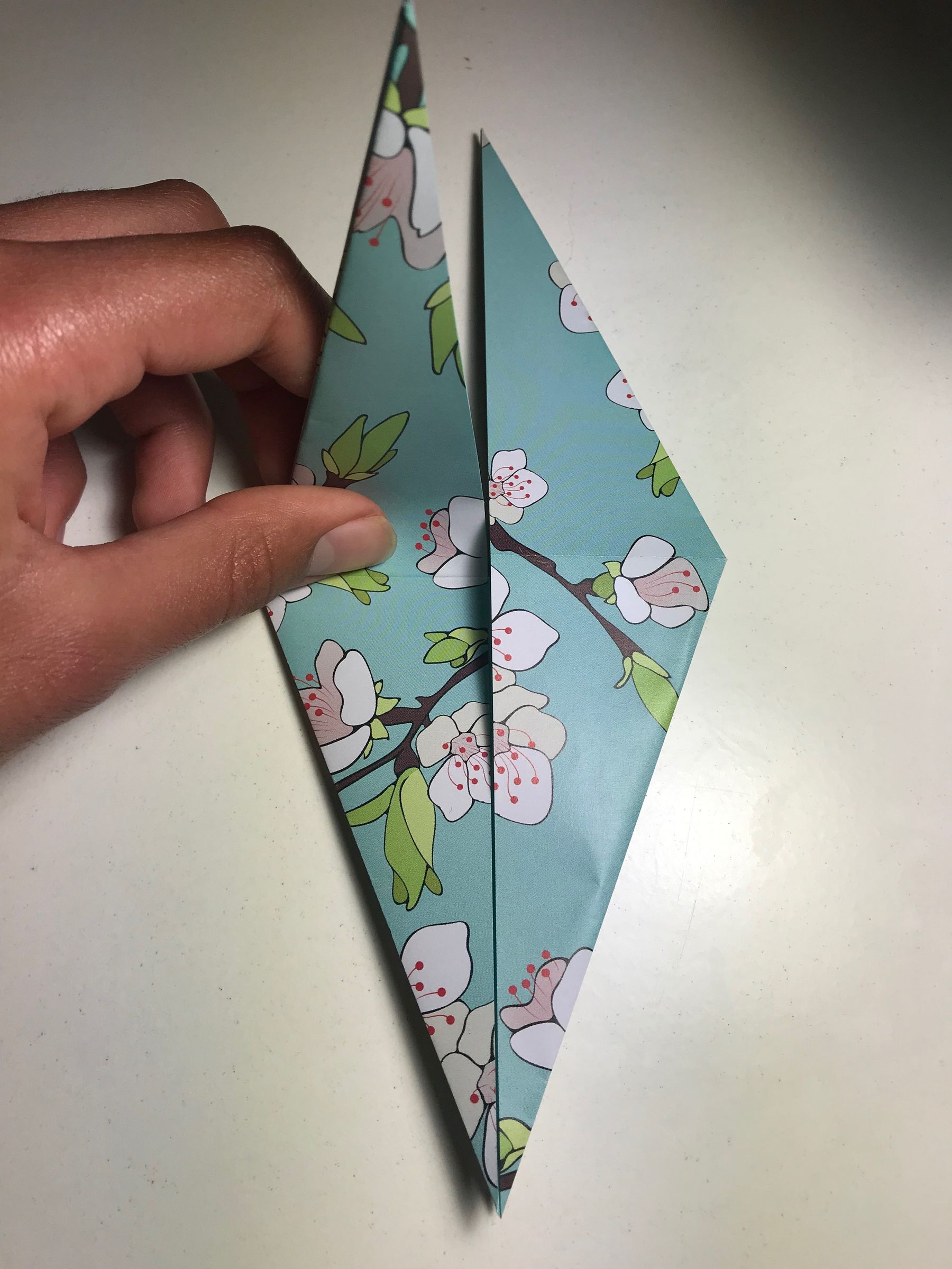 Origami Dragonfly : 14 Steps - Instructables