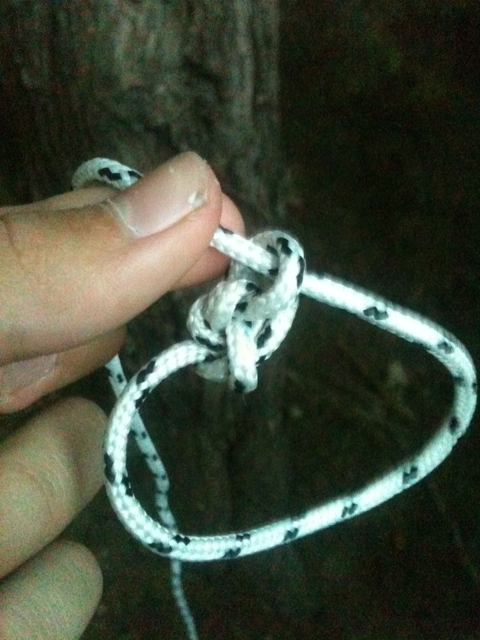 Simple Snare for Small Game : 5 Steps - Instructables