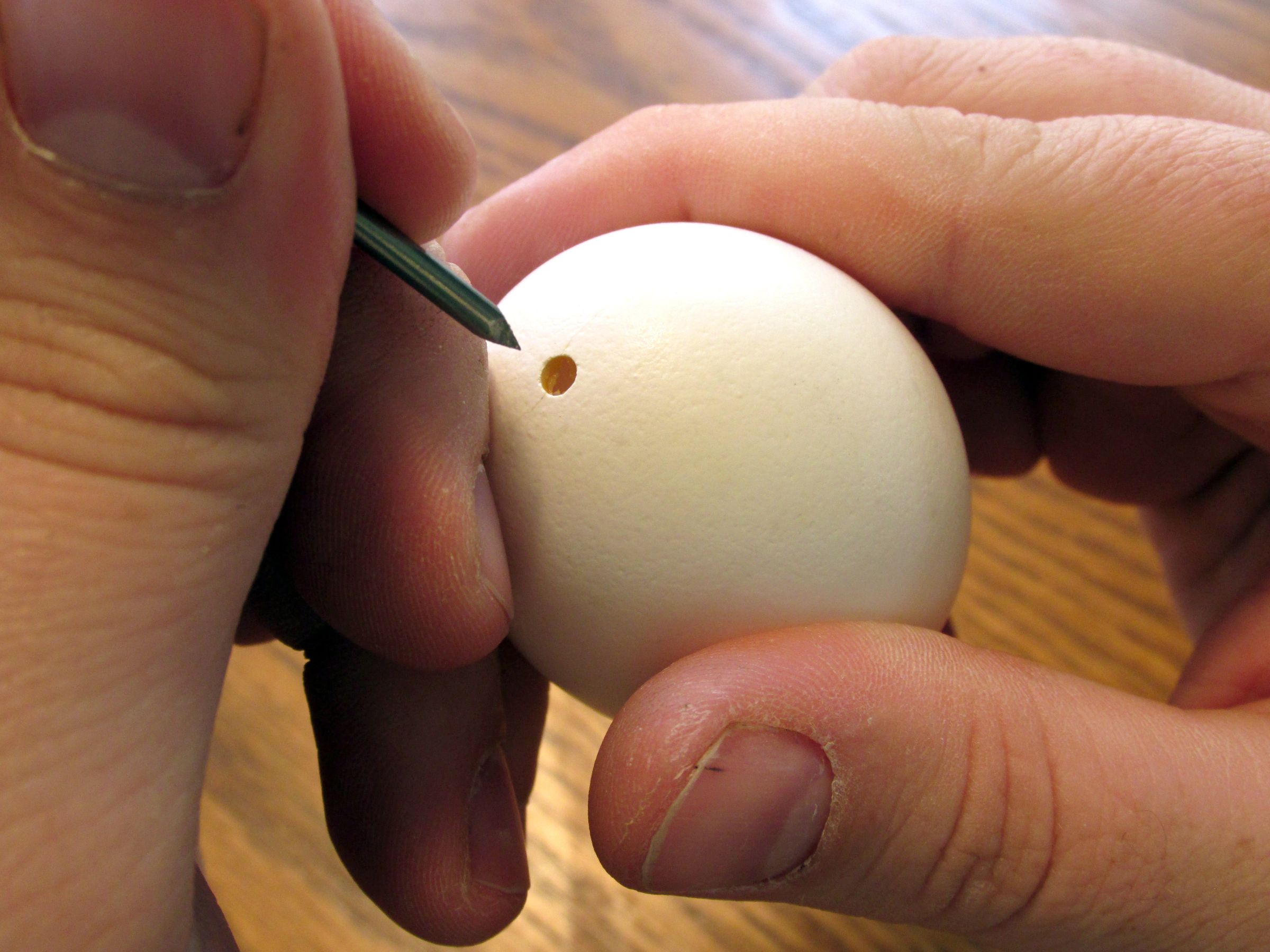 Polymer Clay Eggs : 13 Steps (with Pictures) - Instructables