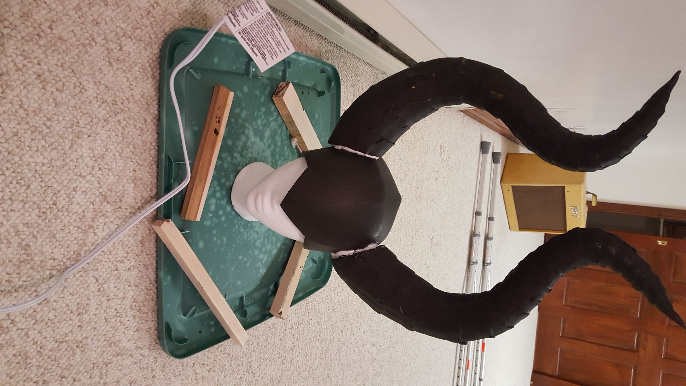 Maleficent Costume & Props : 6 Steps (with Pictures) - Instructables