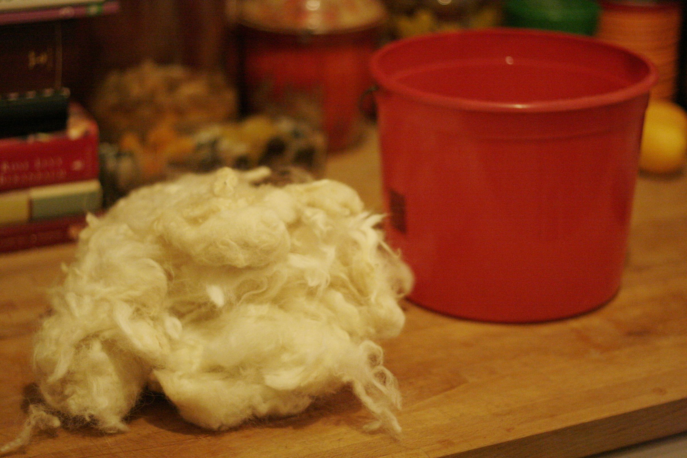 Wash Wool or Other Fibers for Spinning. : 5 Steps (with Pictures ...
