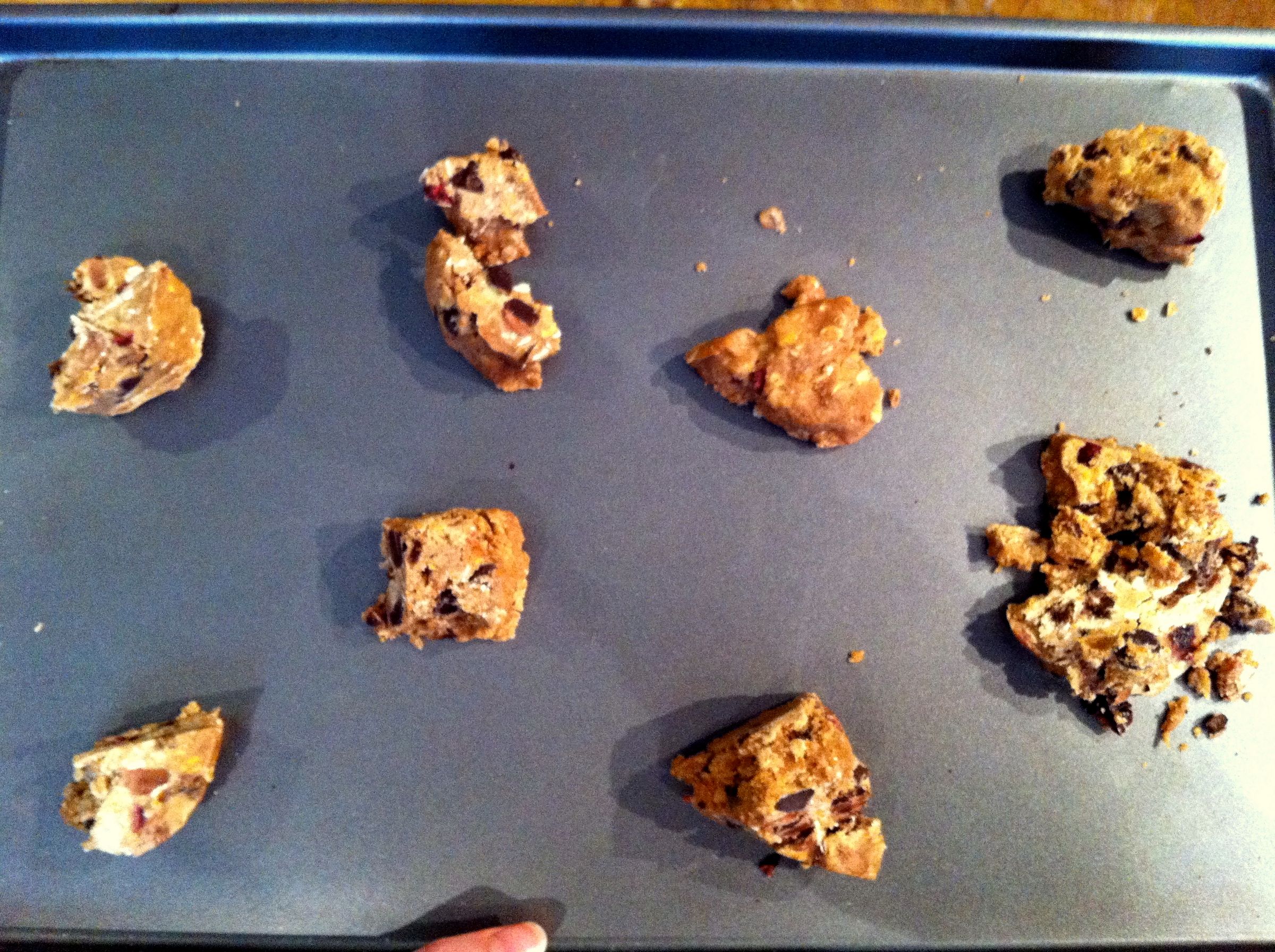 Four-Year Cookie Experiment (with Pictures) - Instructables