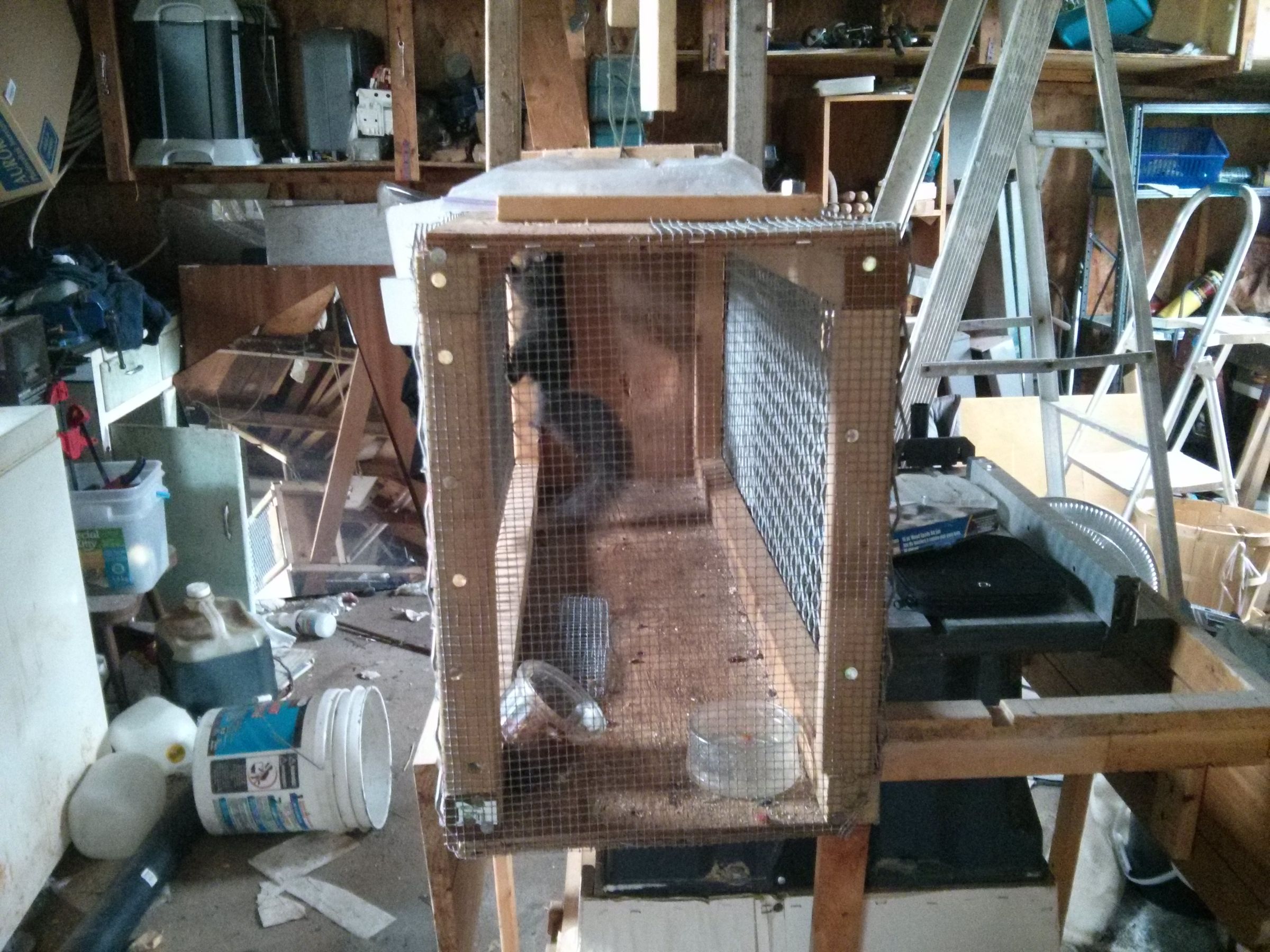 Building a Low Pressure, Humane, Animal Trap : 12 Steps (with Pictures ...