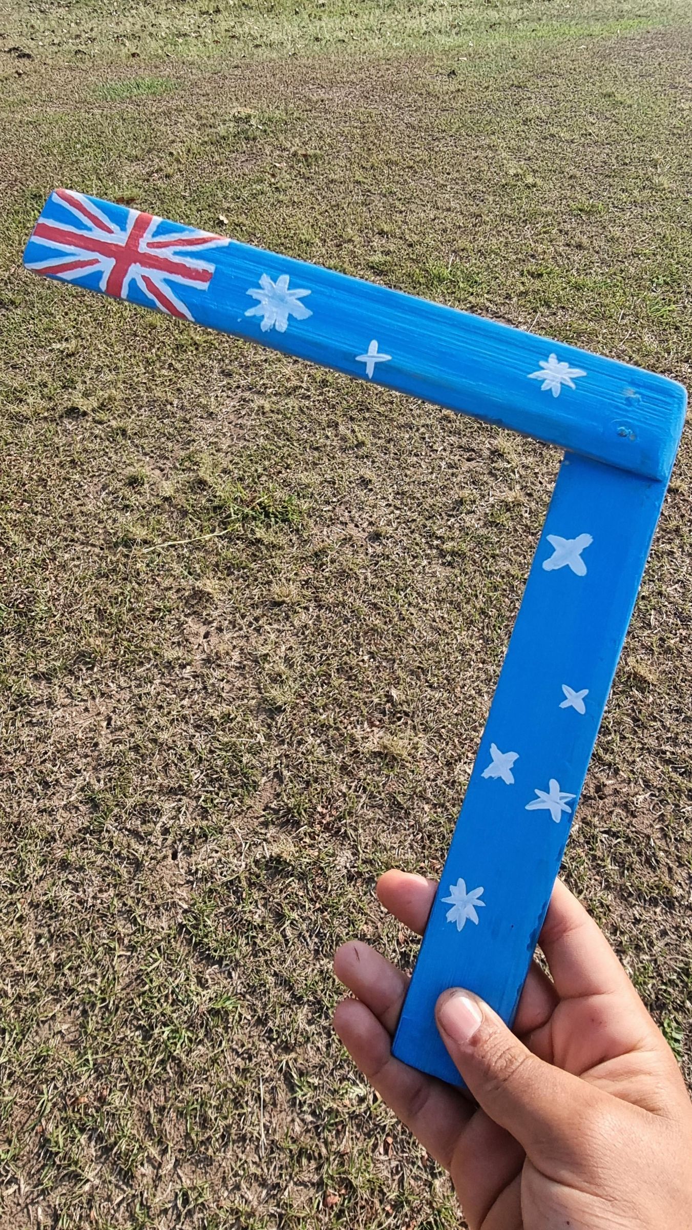 Bamboo Boomerang : 6 Steps (with Pictures) - Instructables