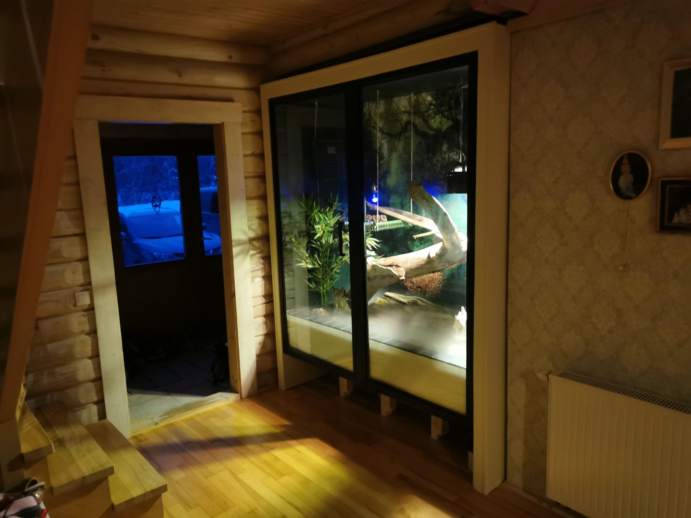 Vivarium for a Reptile : 12 Steps (with Pictures) - Instructables
