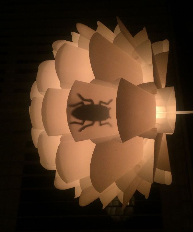 Bug Prank : 6 Steps - Instructables