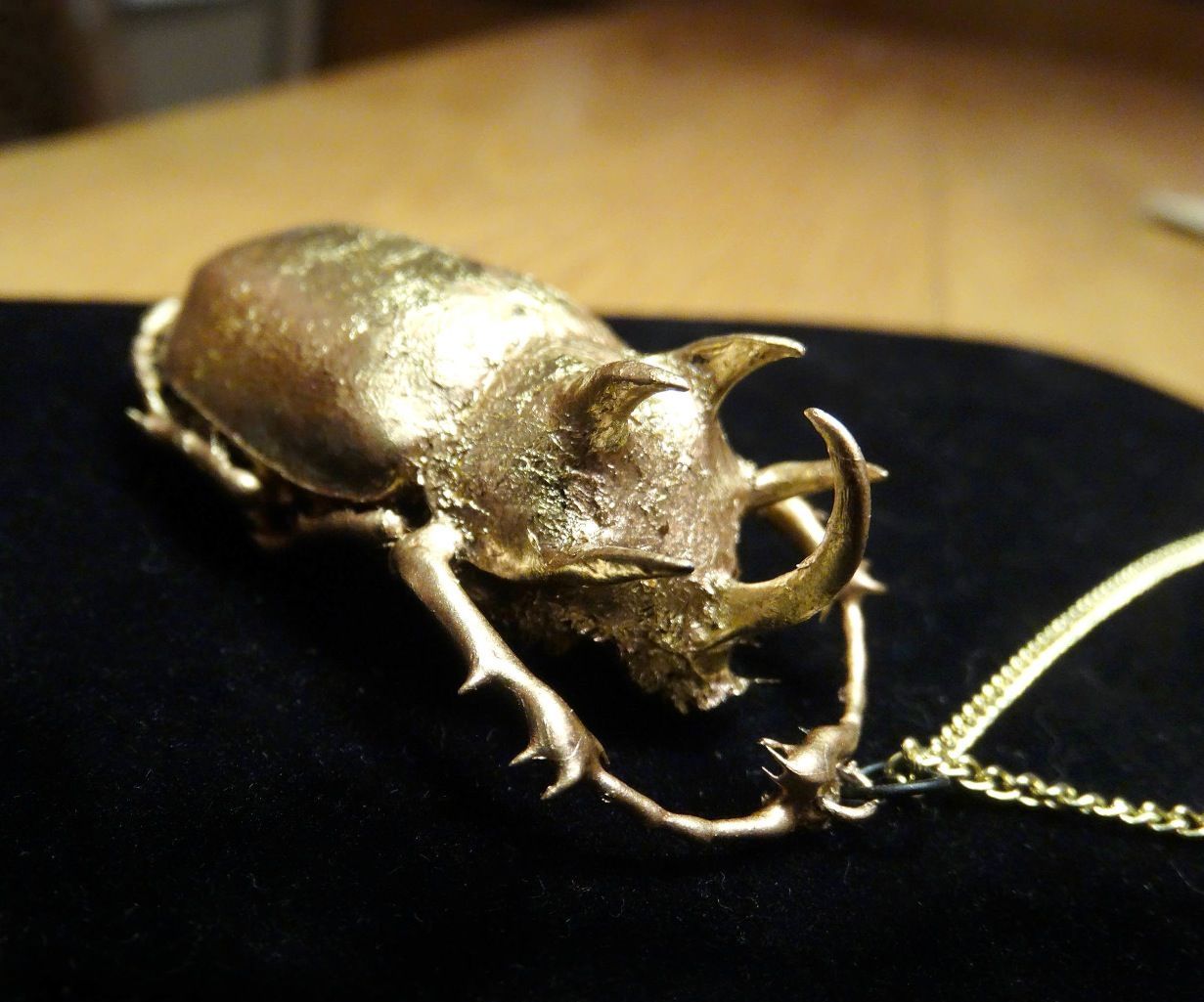 Preparing and Gilding a Real Insect : 10 Steps (with Pictures ...