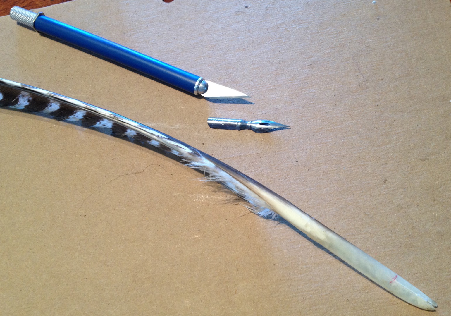 Quill Dipping Pen : 5 Steps (with Pictures) - Instructables