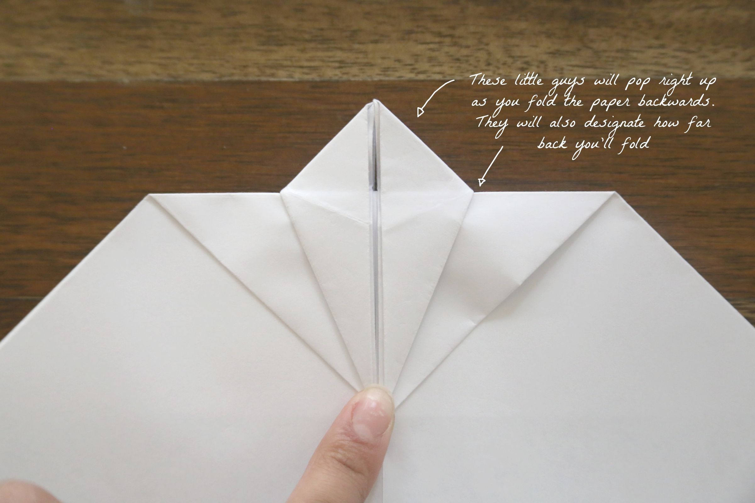 Finest Paper Plane : 4 Steps (with Pictures) - Instructables