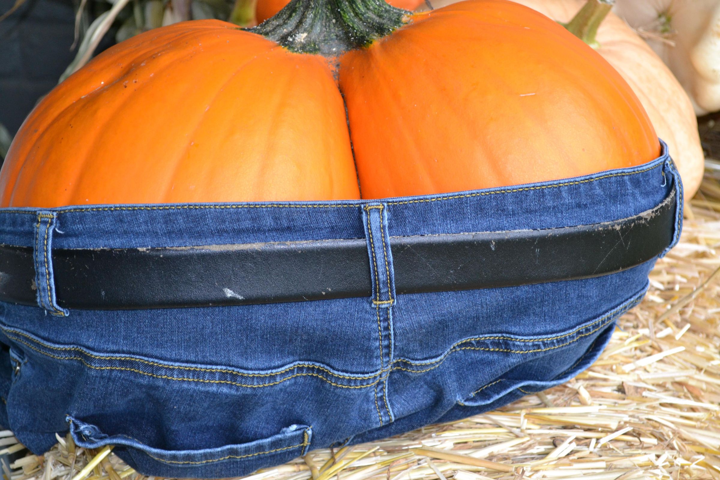 What Does a Rumpkin at Work Look Like? : 3 Steps (with Pictures ...